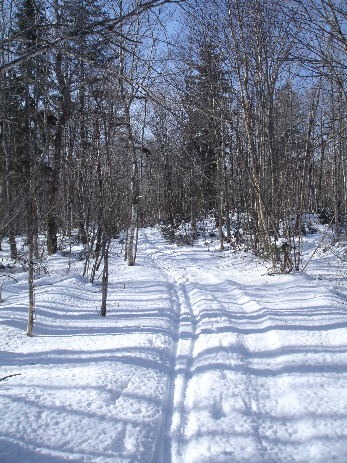 Gully Lake on Cross Country Skis - A Perfect Winter Pastime