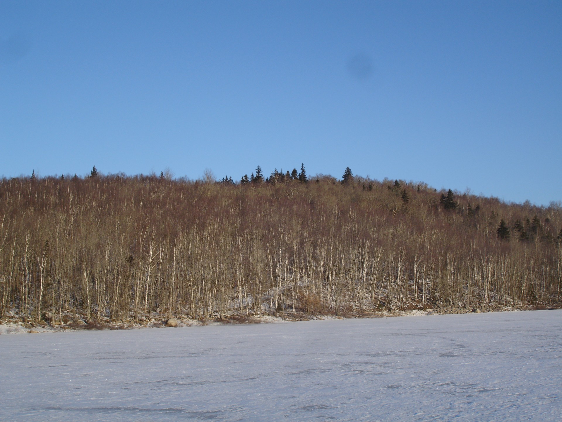 Skating Across Nova Scotia - How to Do It in One Day
