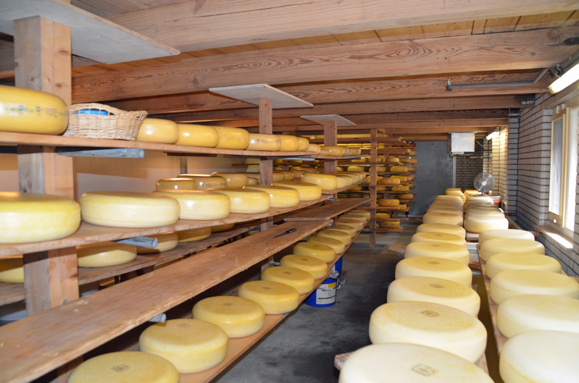 Leiden - Visiting This Ancient University Town and a Game of Boules
