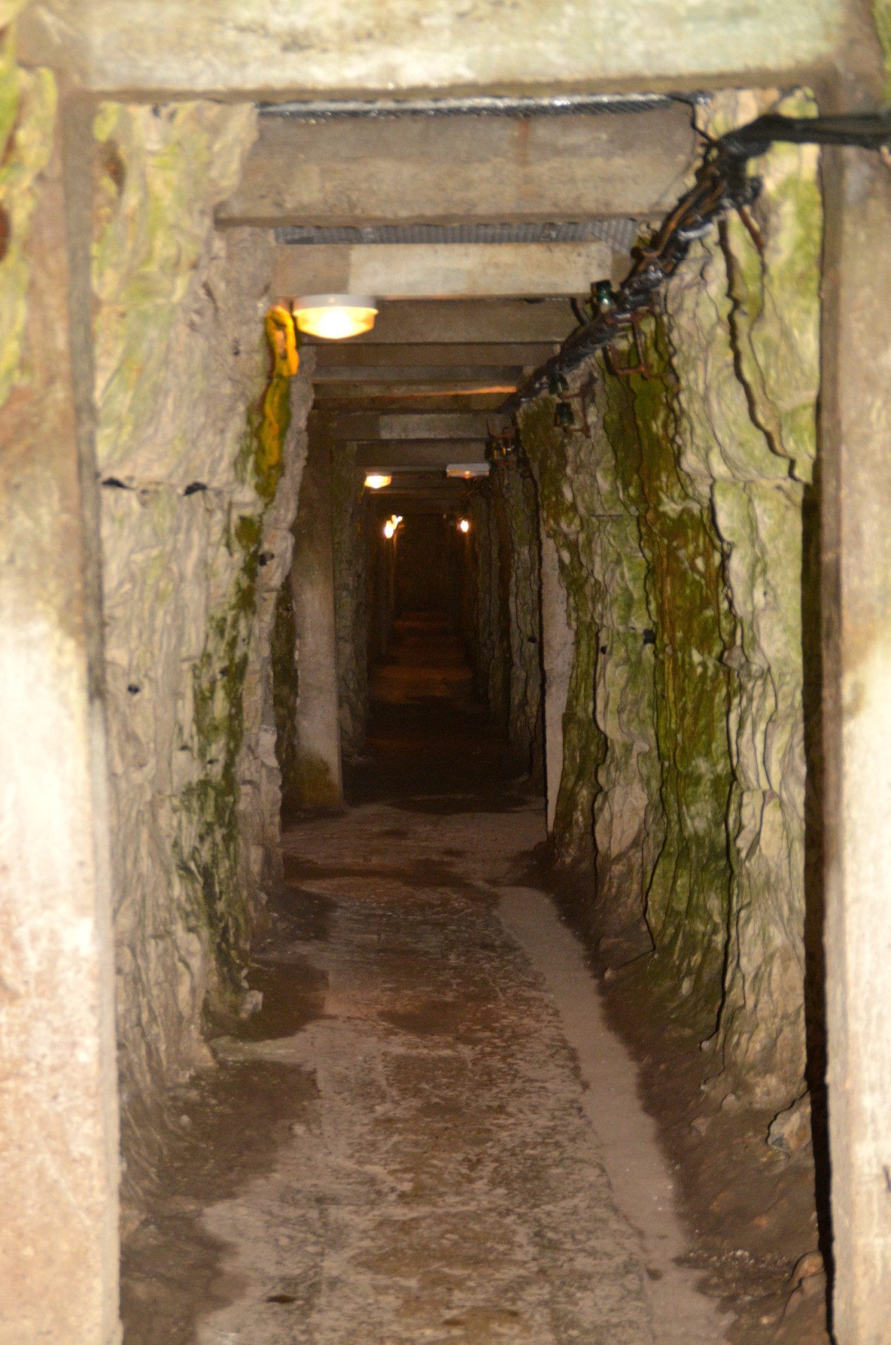 Vimy Ridge Trenches - Exploring the Vimy Ridge Battlefield