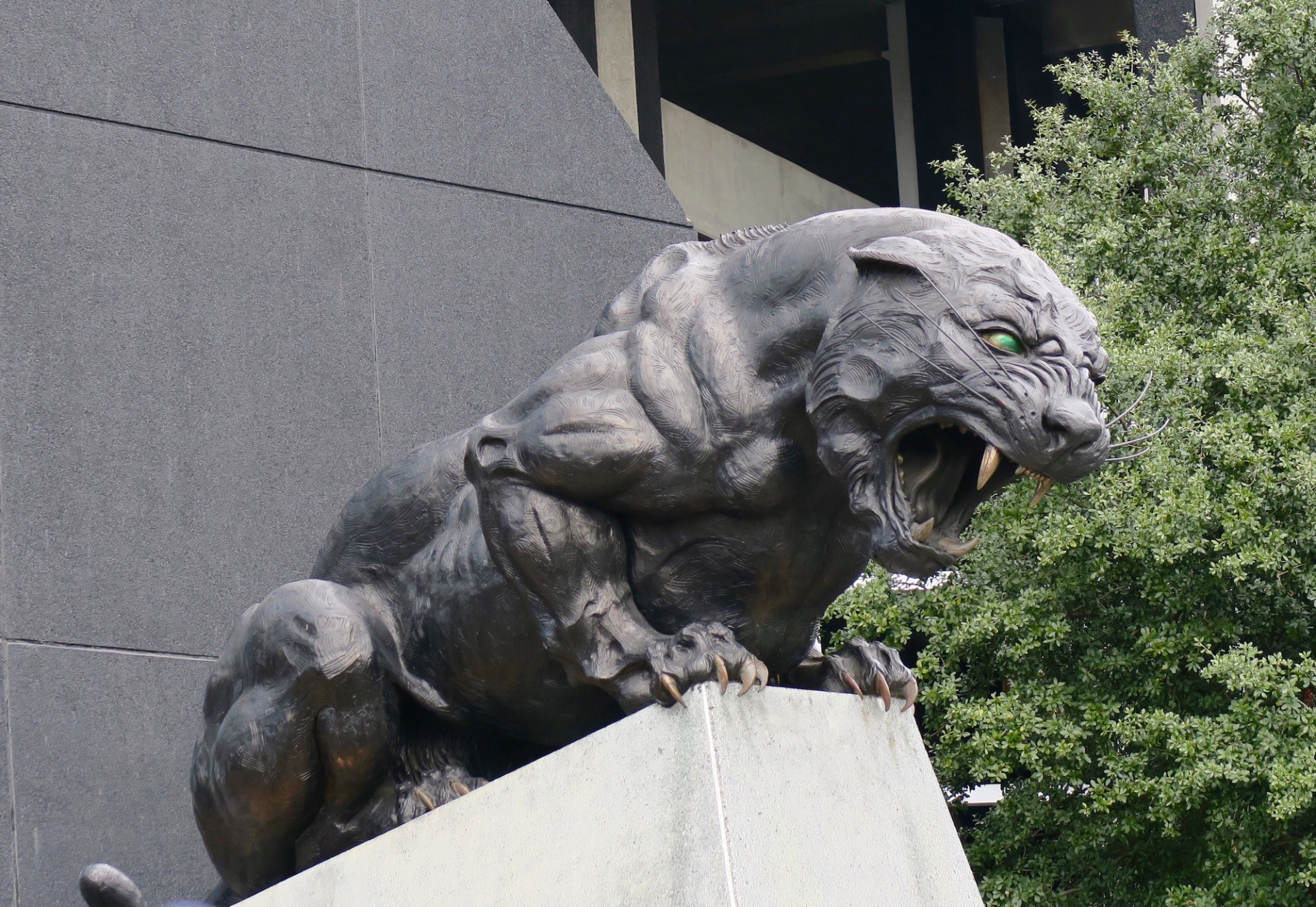 North Carolina Sports Teams Hat Trick - The Maritime Explorer