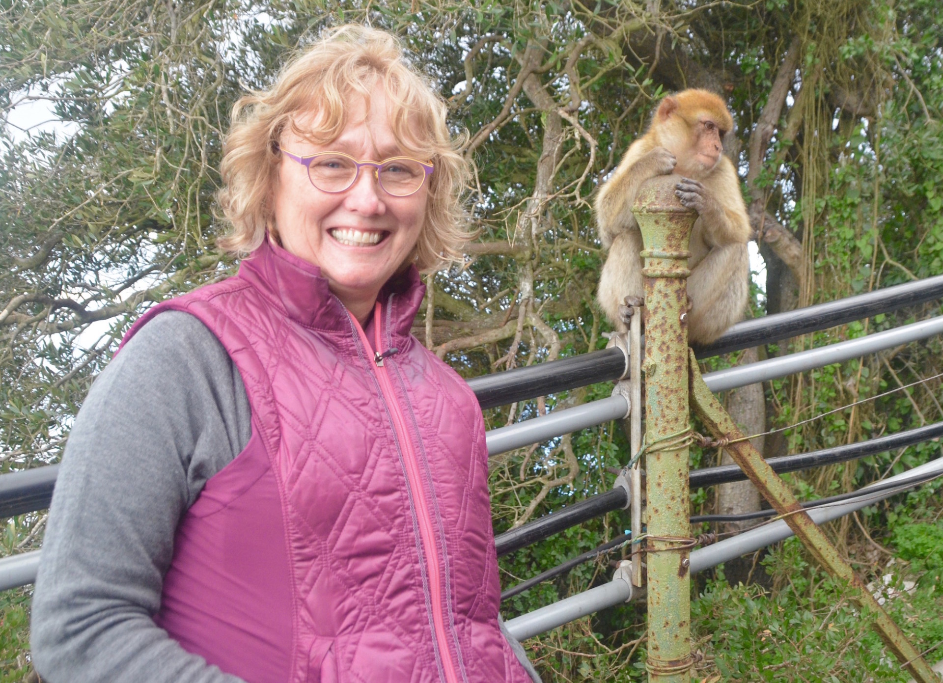Rock of Gibraltar - Fantastic Views & Barbary Apes - The Maritime Explorer