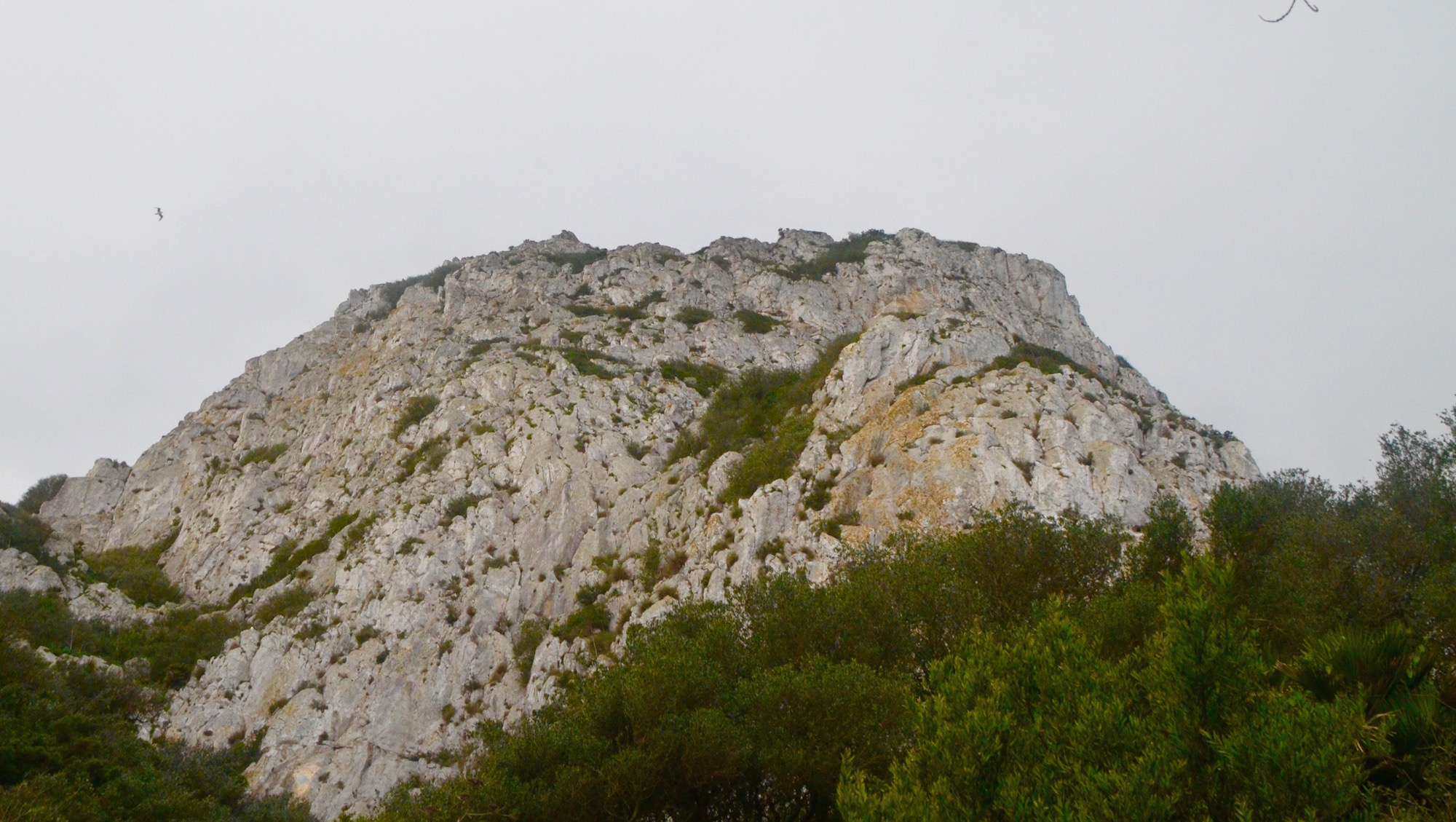 Rock of Gibraltar - Fantastic Views & Barbary Apes - The Maritime Explorer