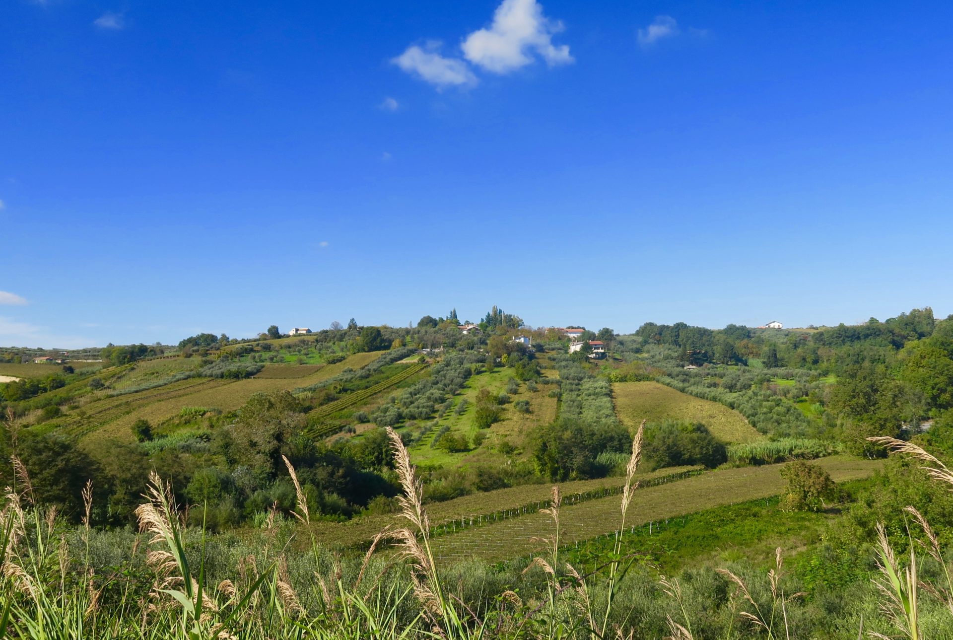 Moro River, The Gully and Casa Berardi - The Maritime Explorer