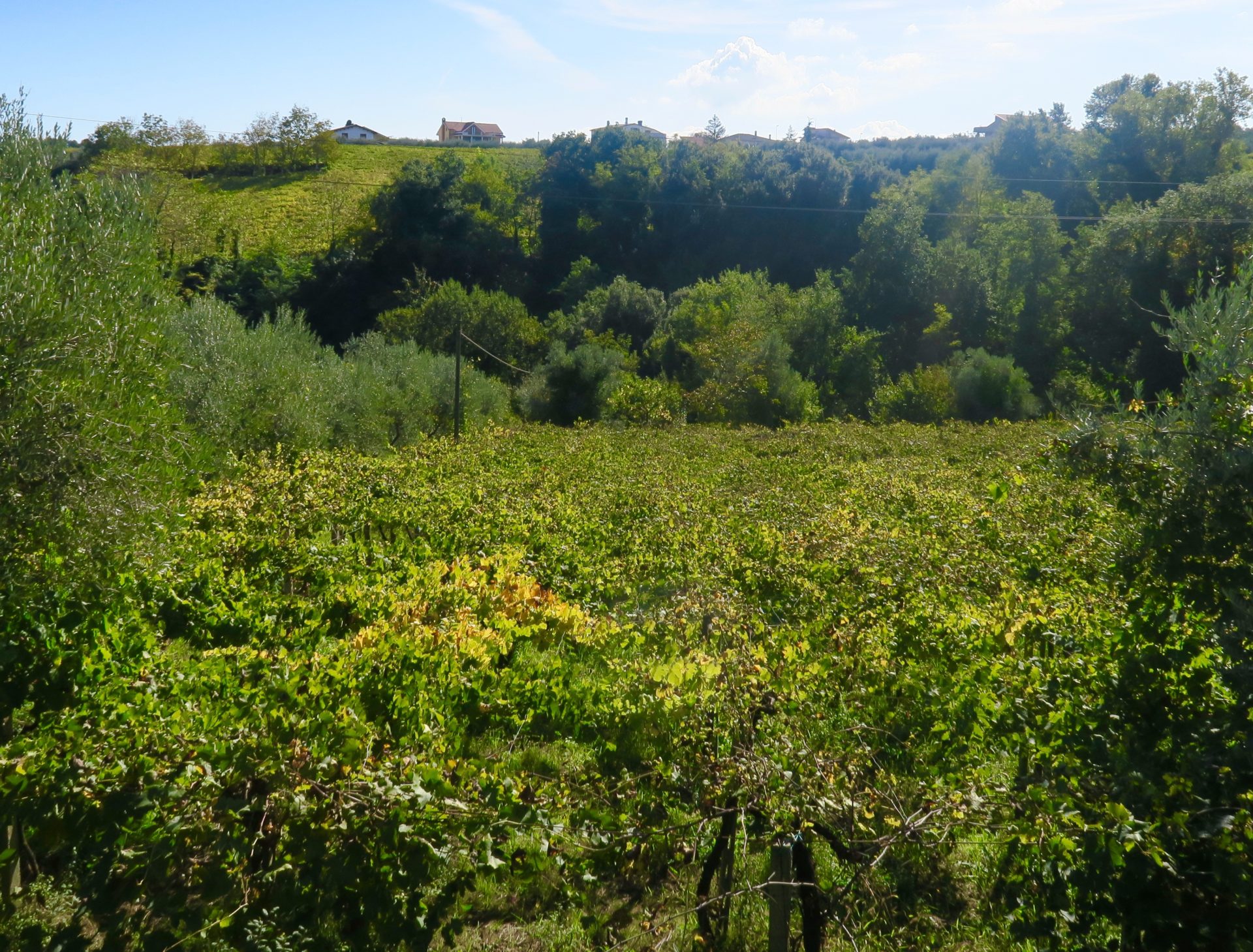 Moro River, The Gully and Casa Berardi - The Maritime Explorer