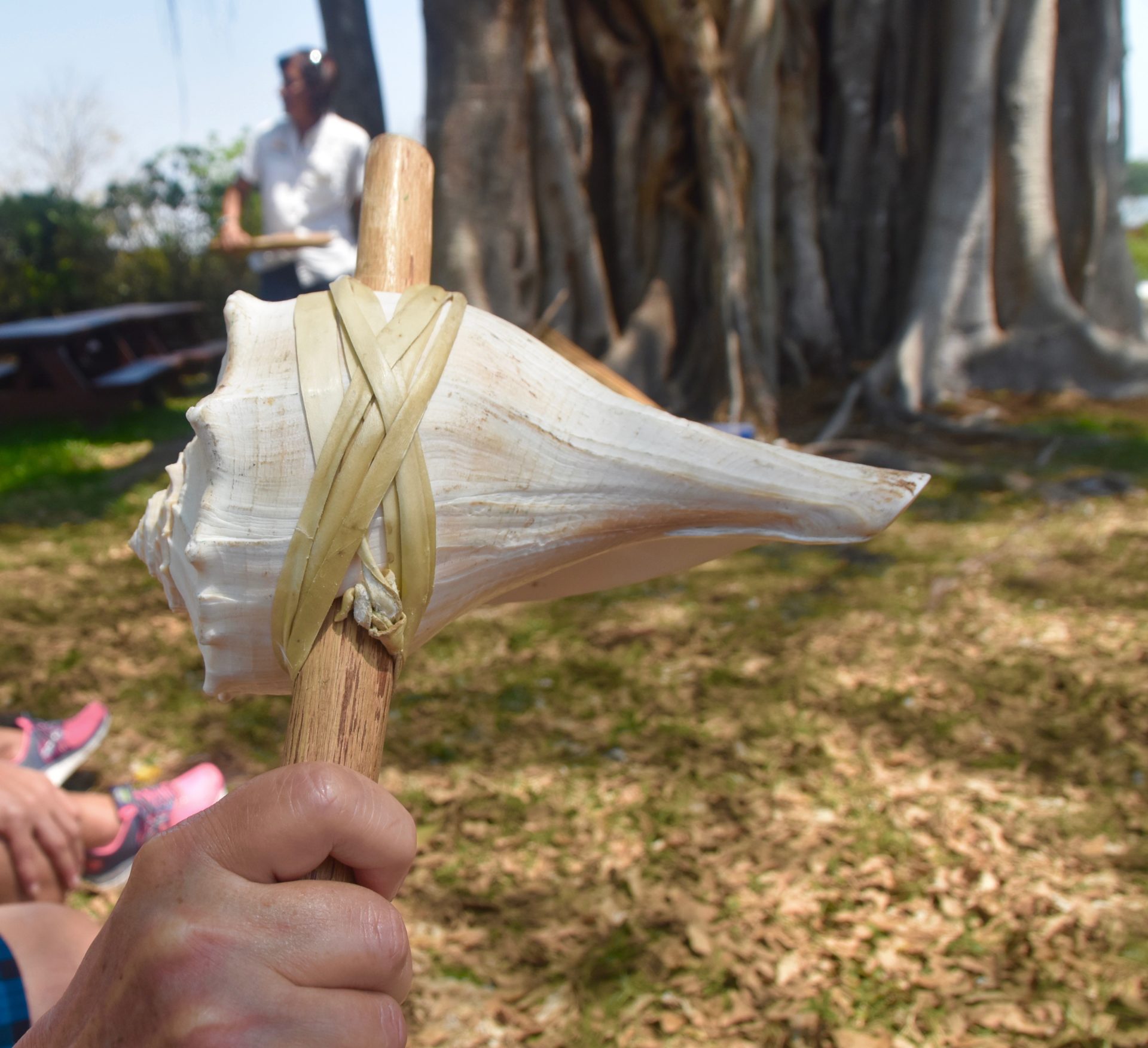 Mound Key Archaeological State Park, Florida - The Maritime Explorer