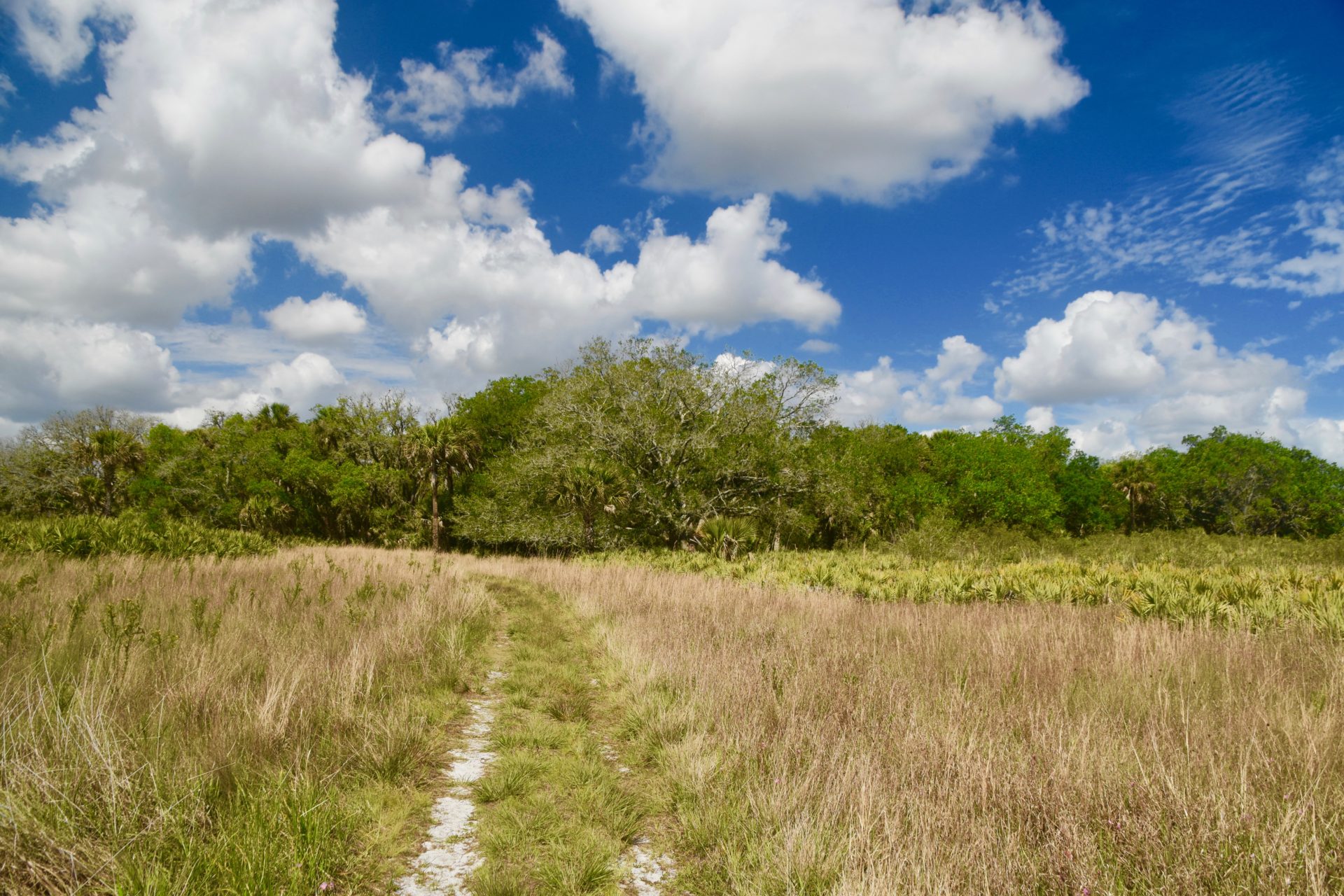 Kissimmee Prairie Preserve State Park, Florida - The Maritime Explorer