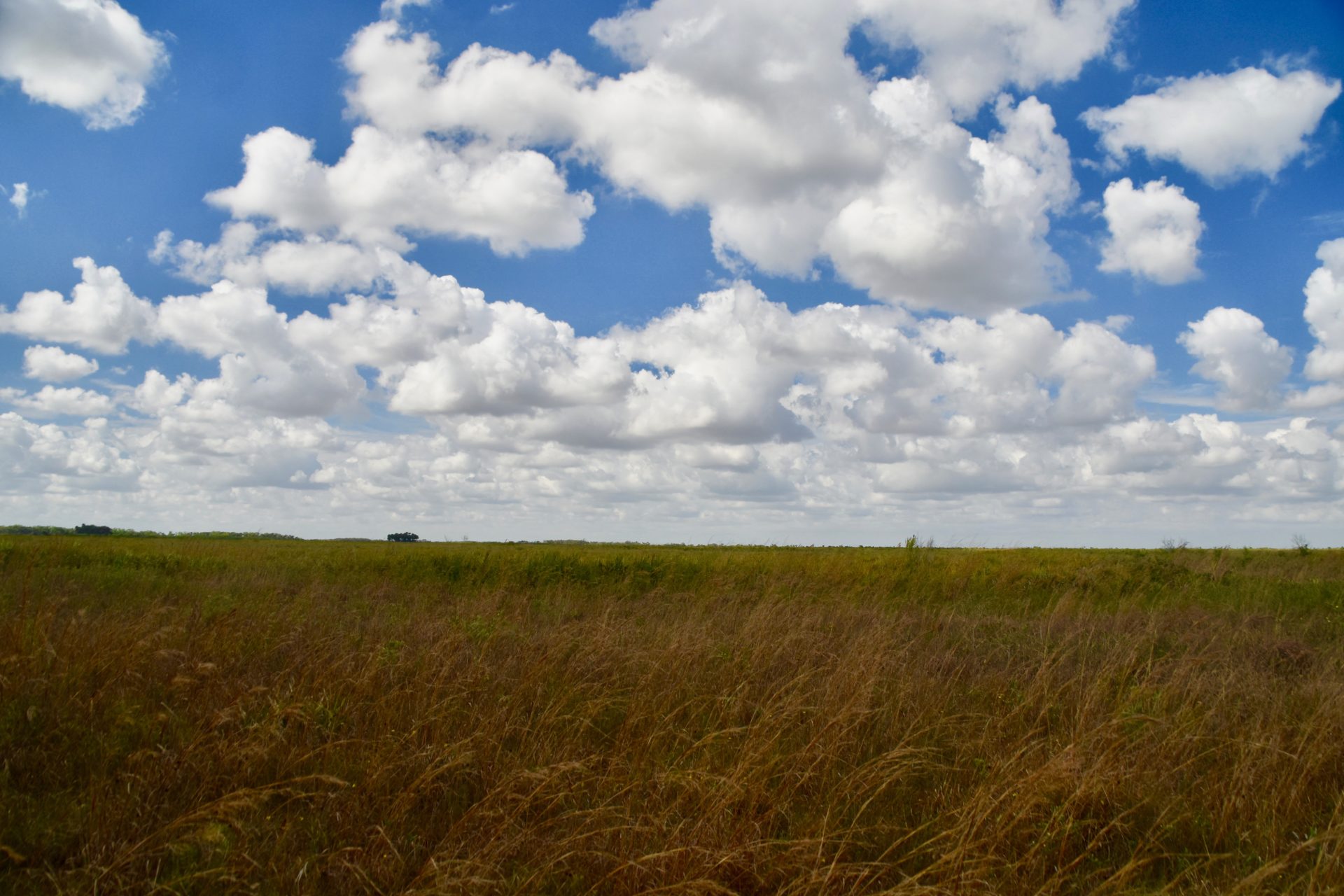Kissimmee Prairie Preserve State Park, Florida - The Maritime Explorer