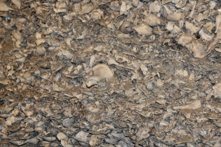 Mound Key Archaeological State Park, Florida - The Maritime Explorer