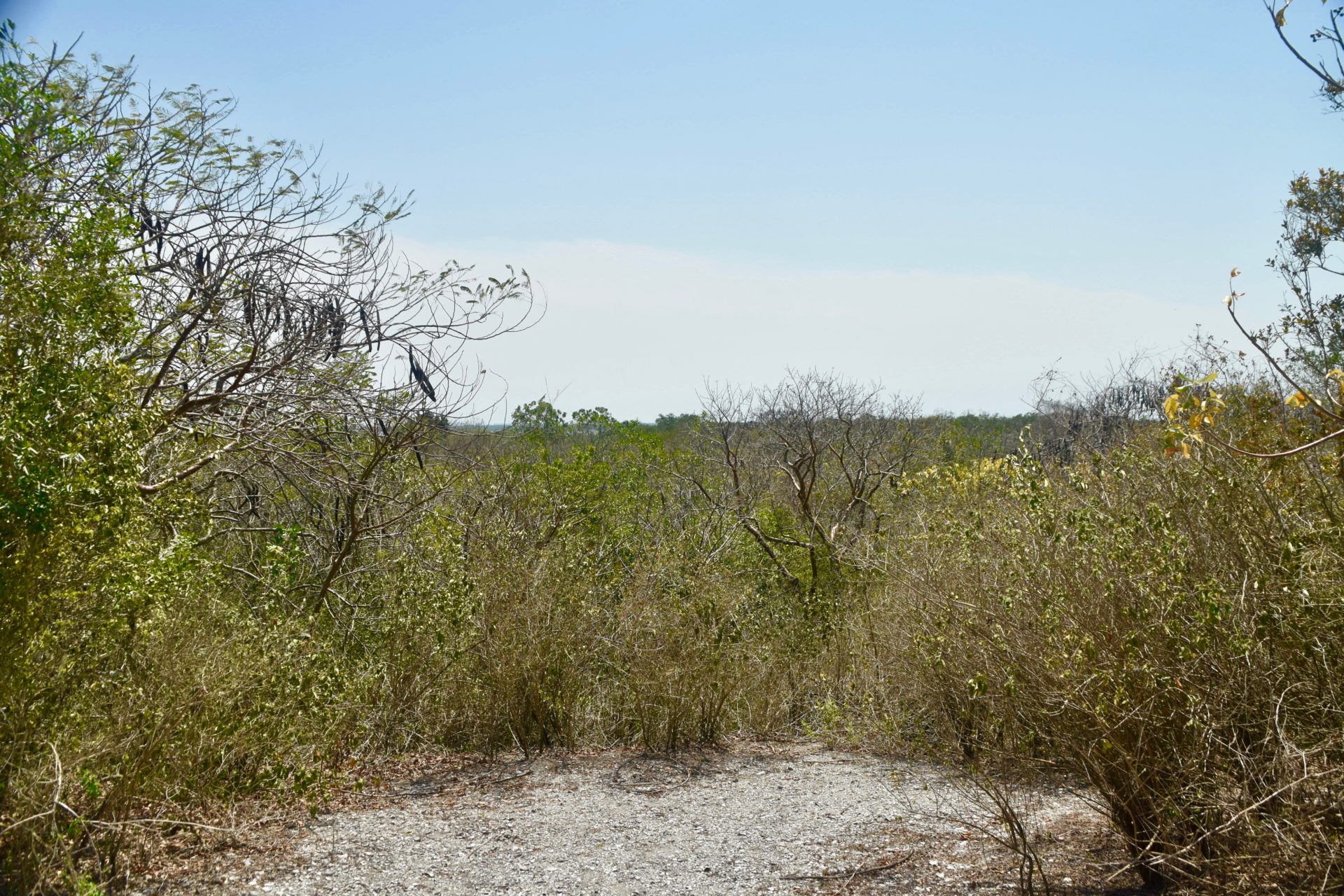 Mound Key Archaeological State Park, Florida - The Maritime Explorer