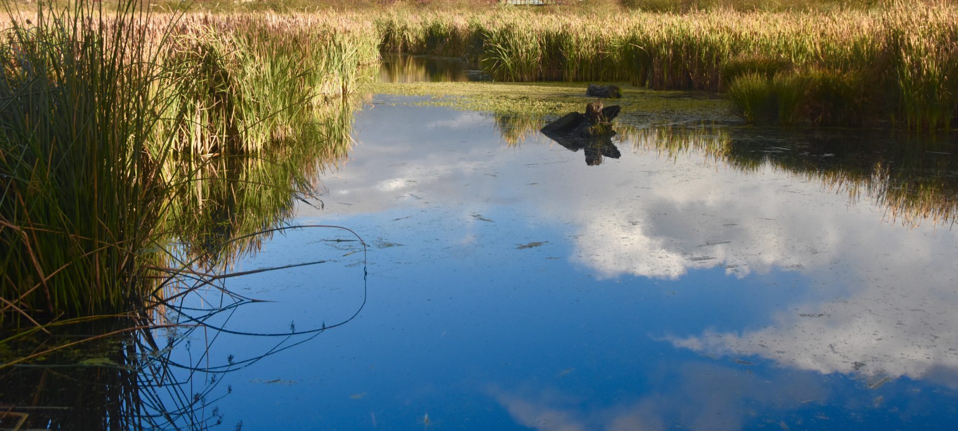 Albany Oregon - Willamette Valley Highlight - The Maritime Explorer
