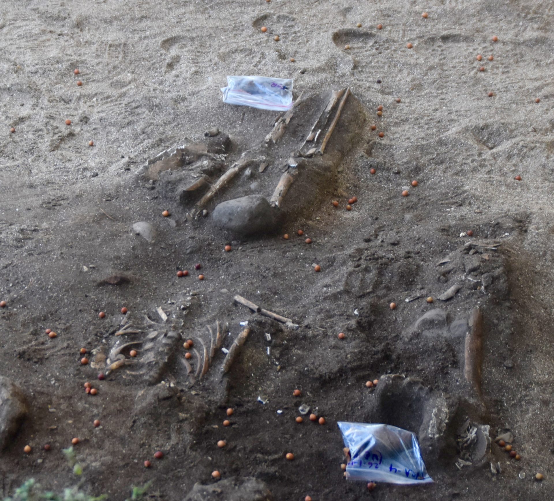 Panama City - The Old and the New - The Maritime Explorer