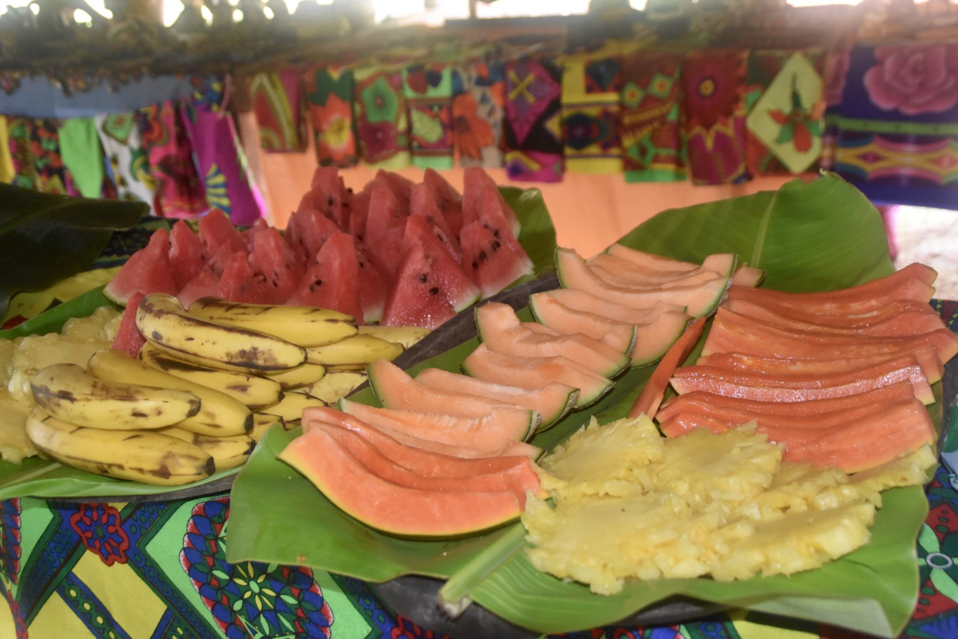 Embera Indigenous Village, Panama - The Maritime Explorer