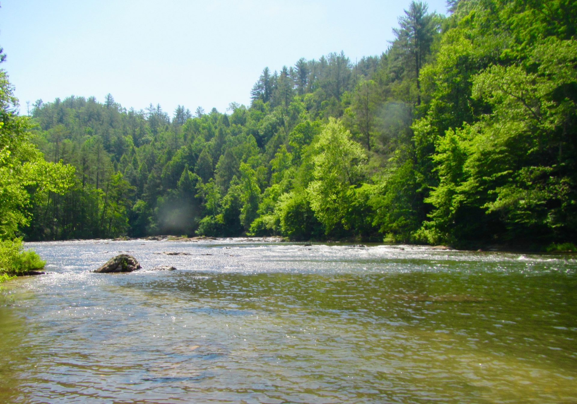 Wildwater Rafting on the Chattooga River - The Maritime Explorer