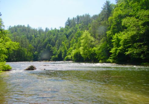 Wildwater Rafting on the Chattooga River - The Maritime Explorer