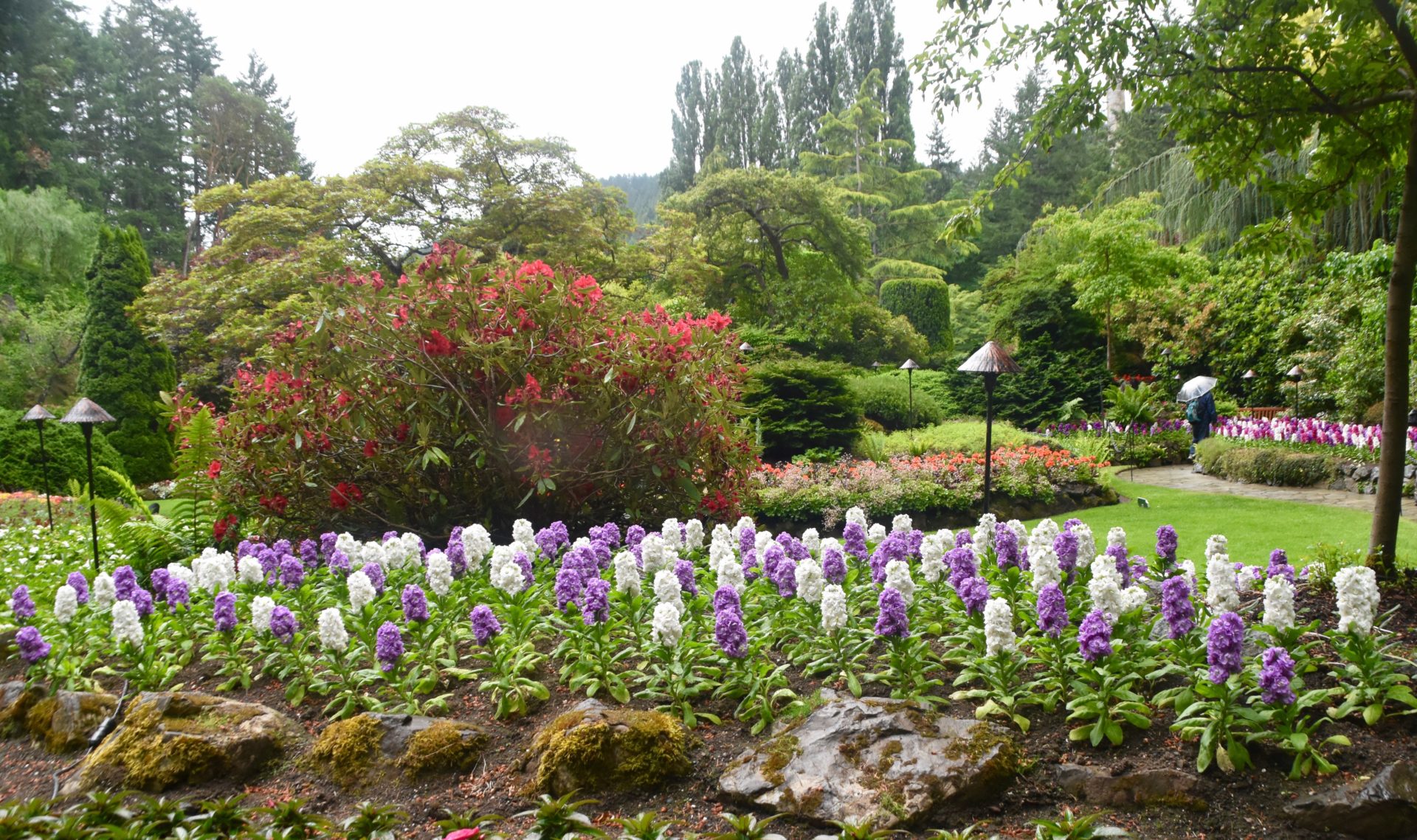 Butchart Gardens - Canada's Garden of Eden - The Maritime Explorer