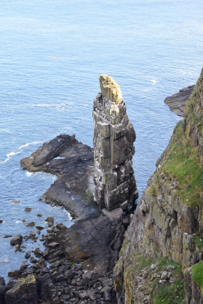 Handa Island - A Bird Lover's Haven - The Maritime Explorer