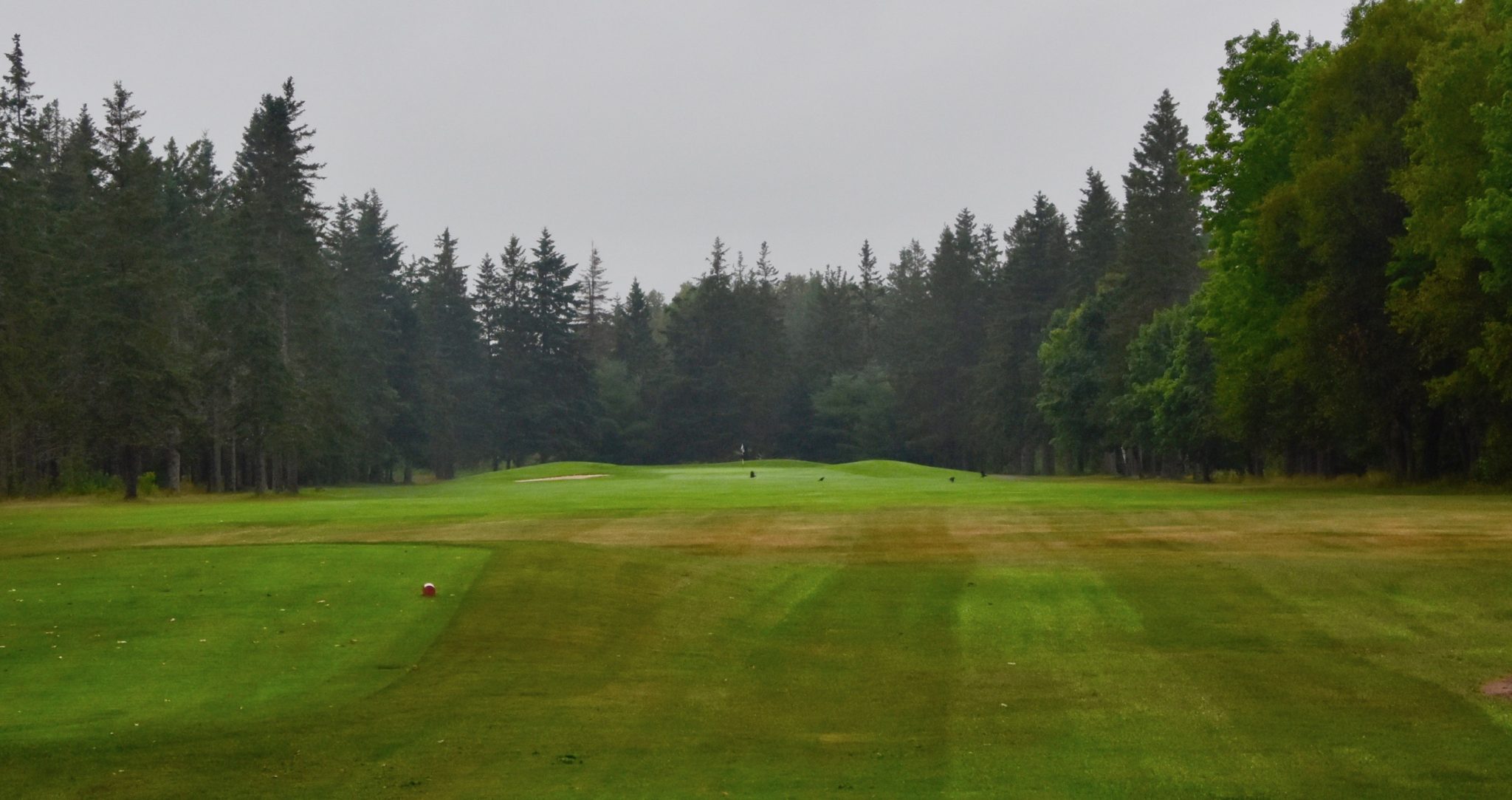 Mill River Golf Course - Hole by Hole - The Maritime Explorer