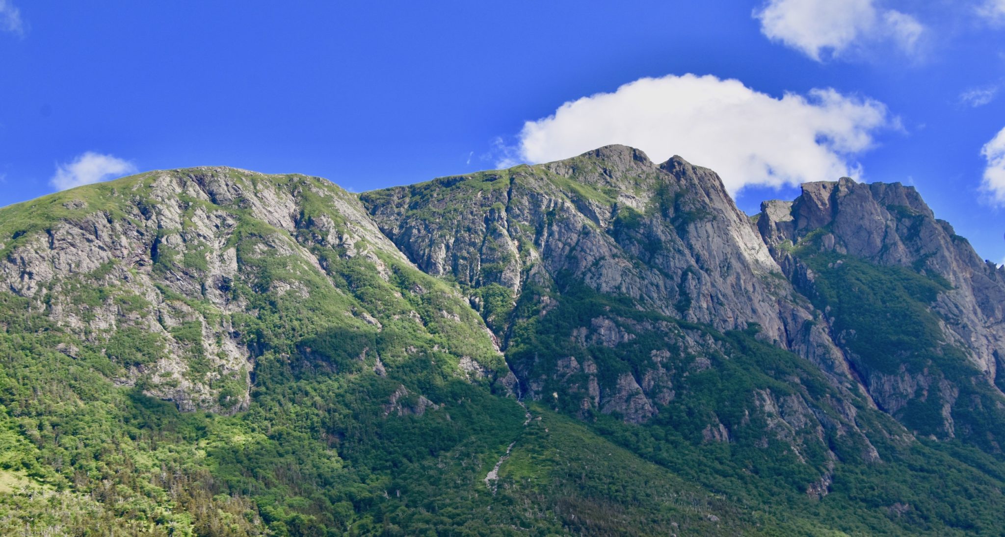 Western Brook Pond - Best Boat Tour Ever - The Maritime Explorer
