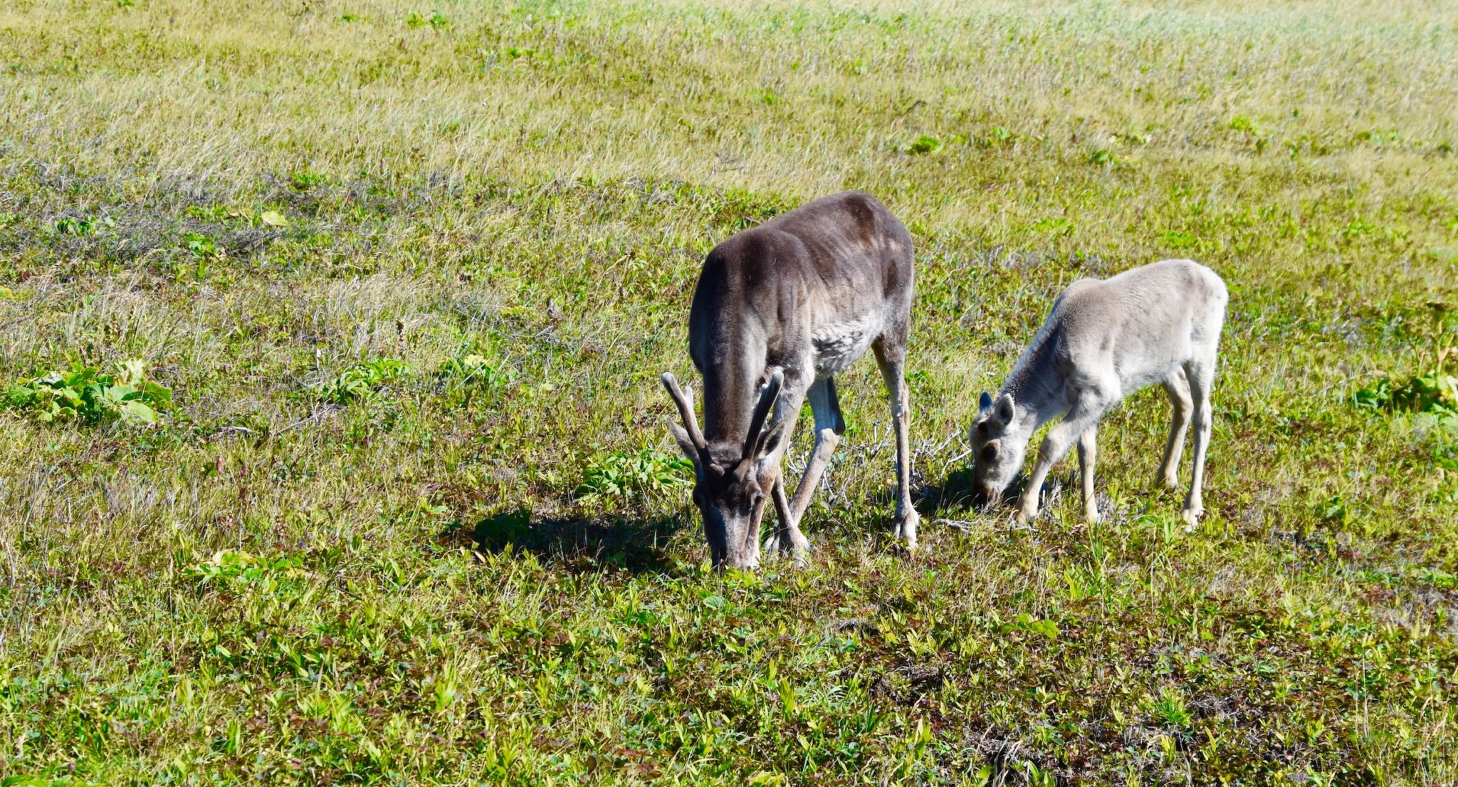Port aux Choix - Discovering Our First Nations - The Maritime Explorer
