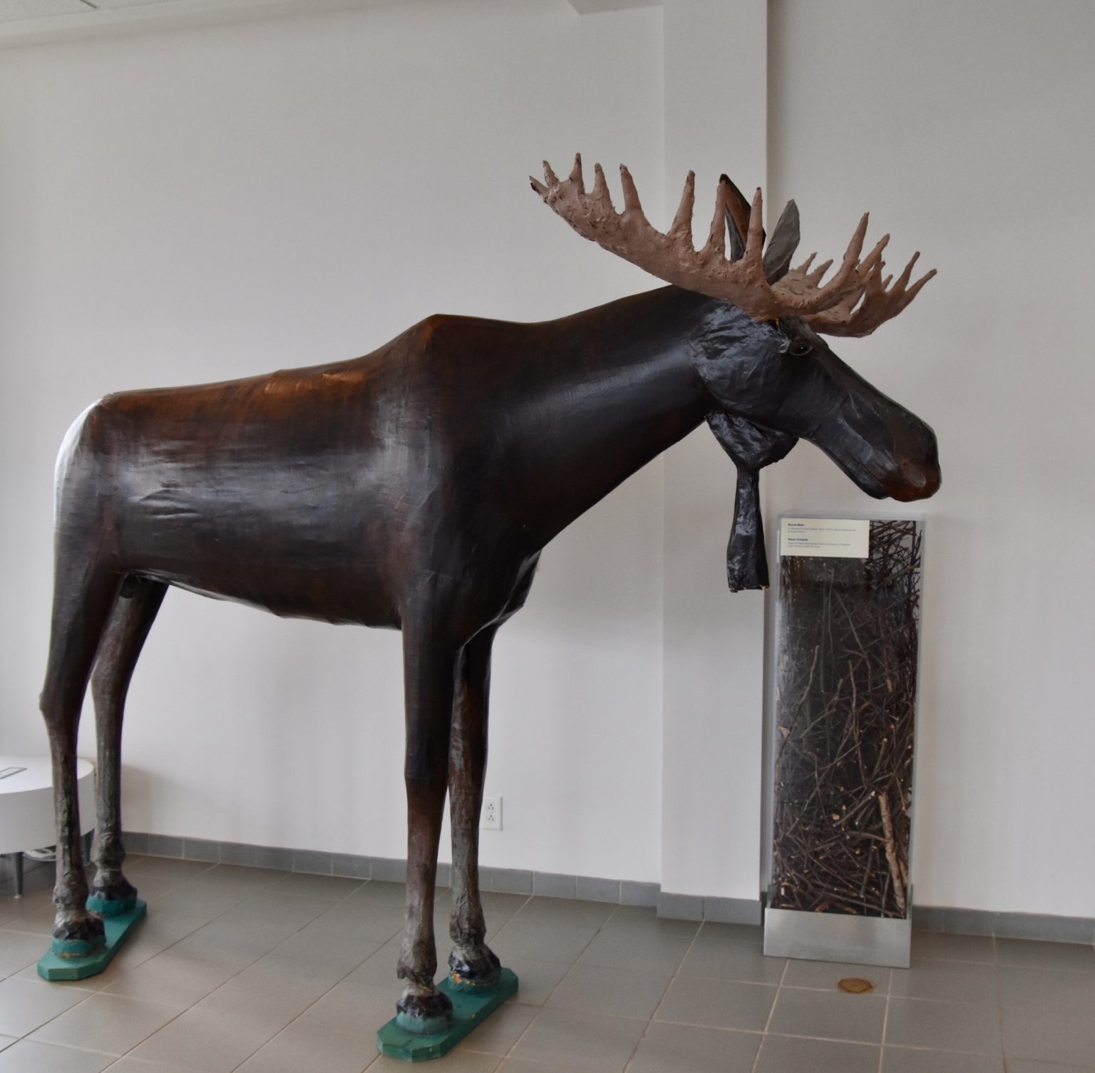 The Tablelands - Walking on the Earth's Mantle - The Maritime Explorer