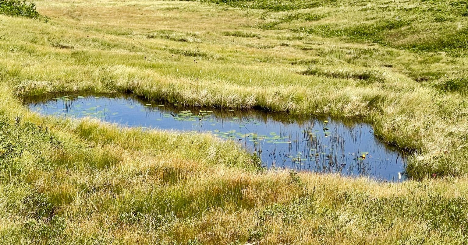 The Tablelands - Walking on the Earth's Mantle - The Maritime Explorer