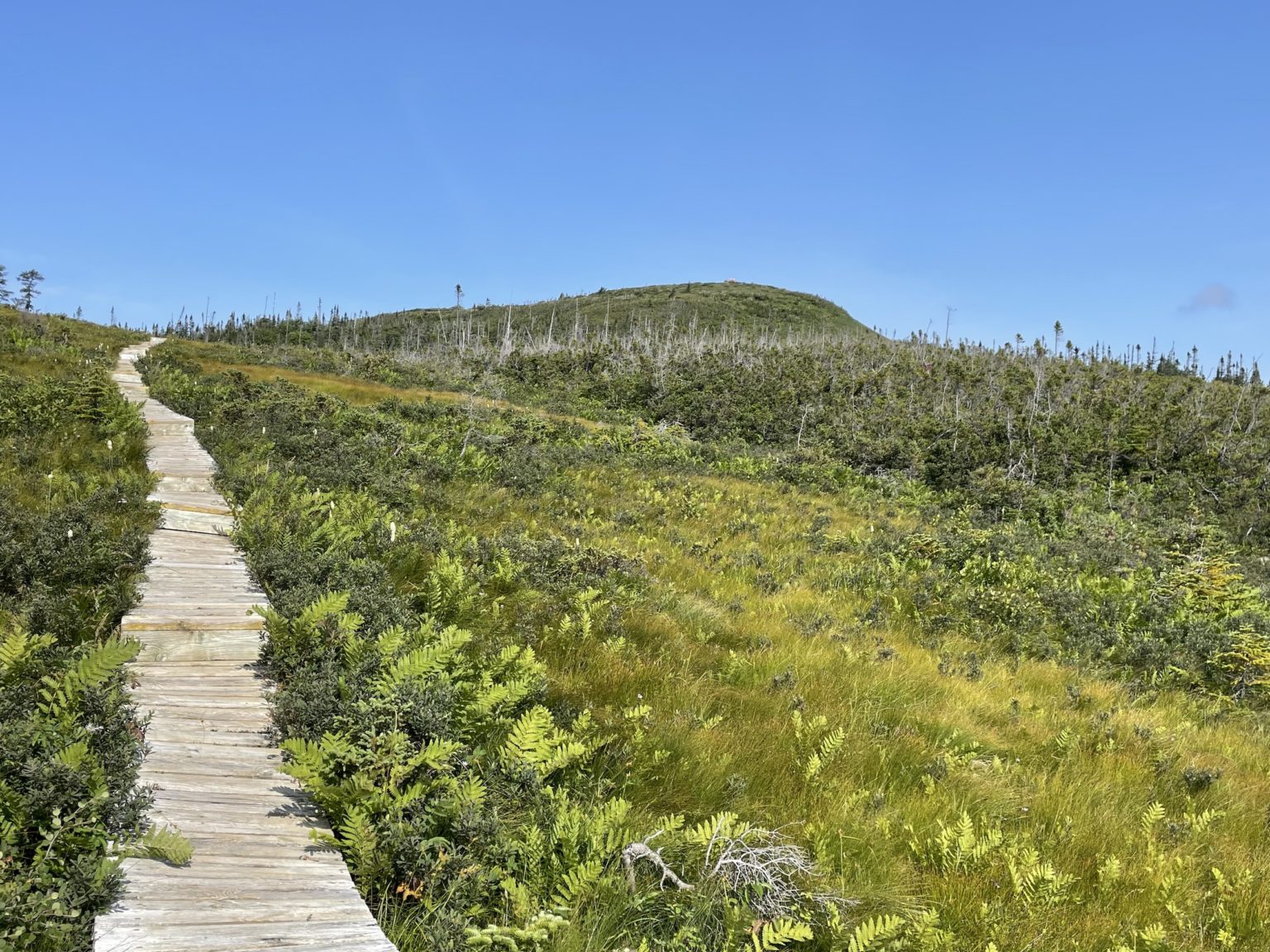 The Tablelands - Walking on the Earth's Mantle - The Maritime Explorer