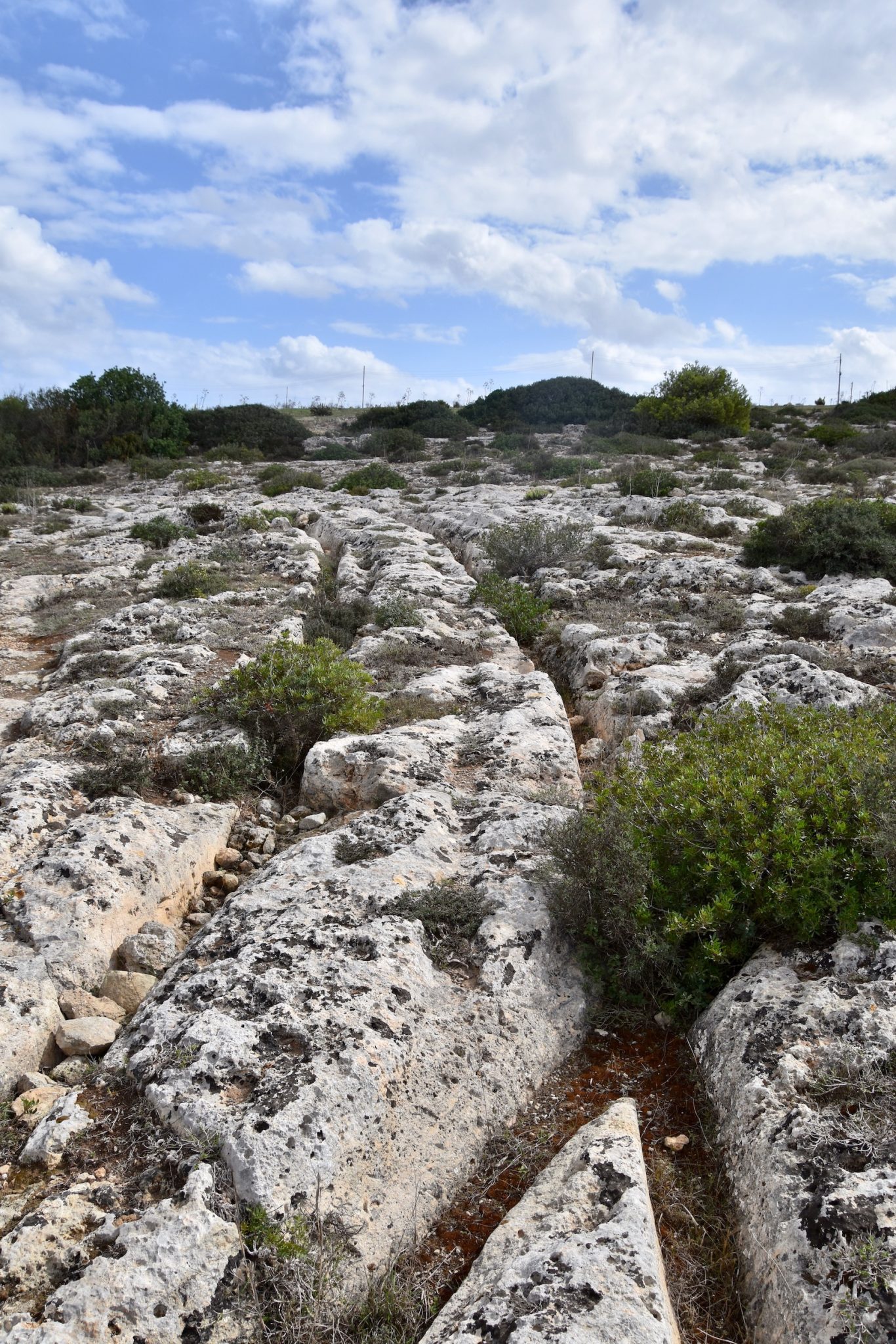 Clapham Junction - Malta's Mysterious Cart Tracks - The Maritime Explorer
