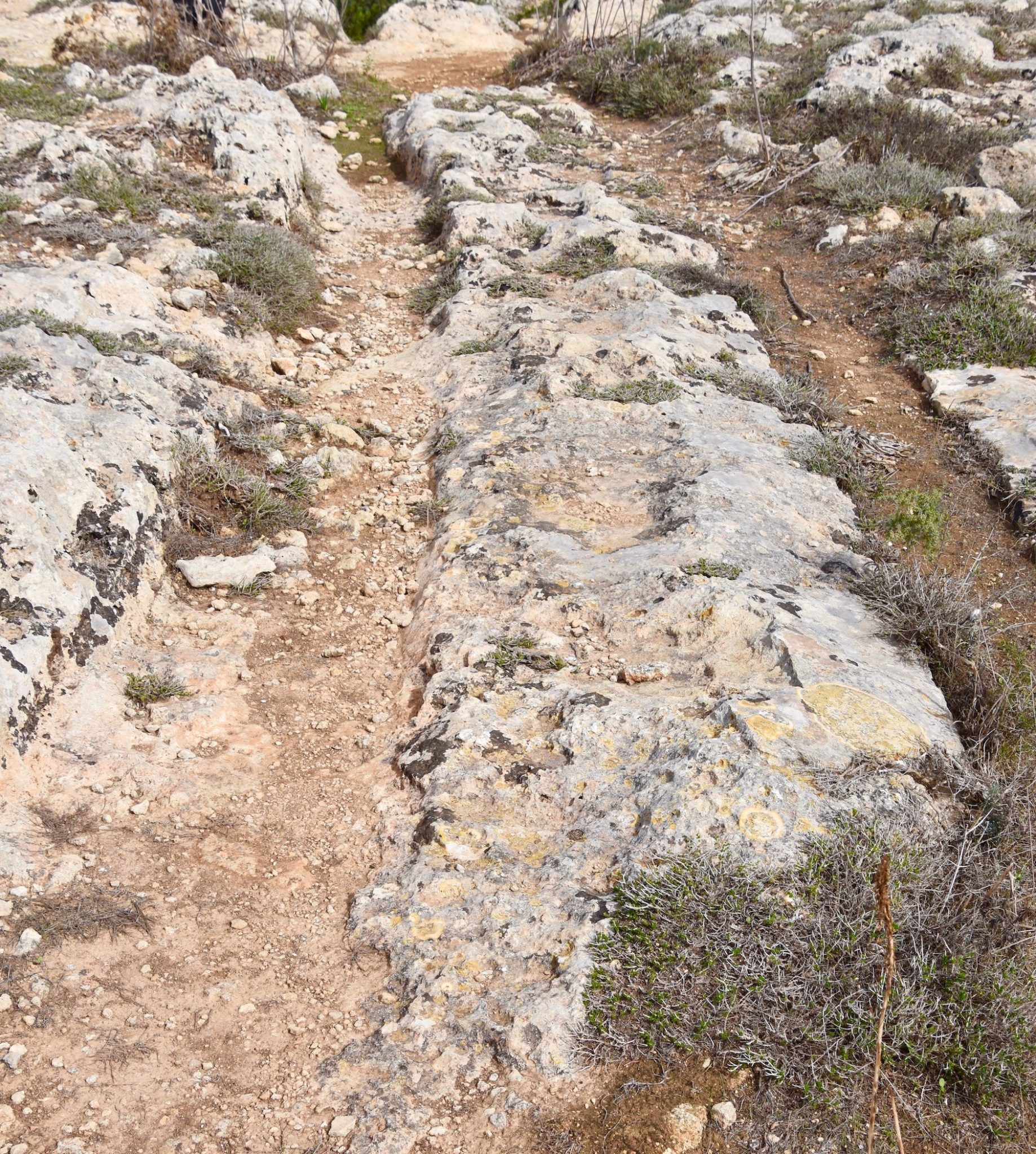 Clapham Junction - Malta's Mysterious Cart Tracks - The Maritime Explorer