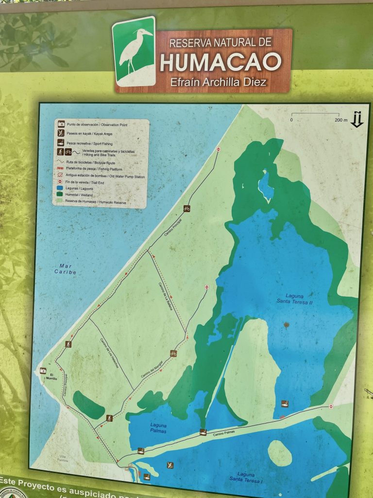 Palm Course - Wyndham Palmas Beach Resort - The Maritime Explorer