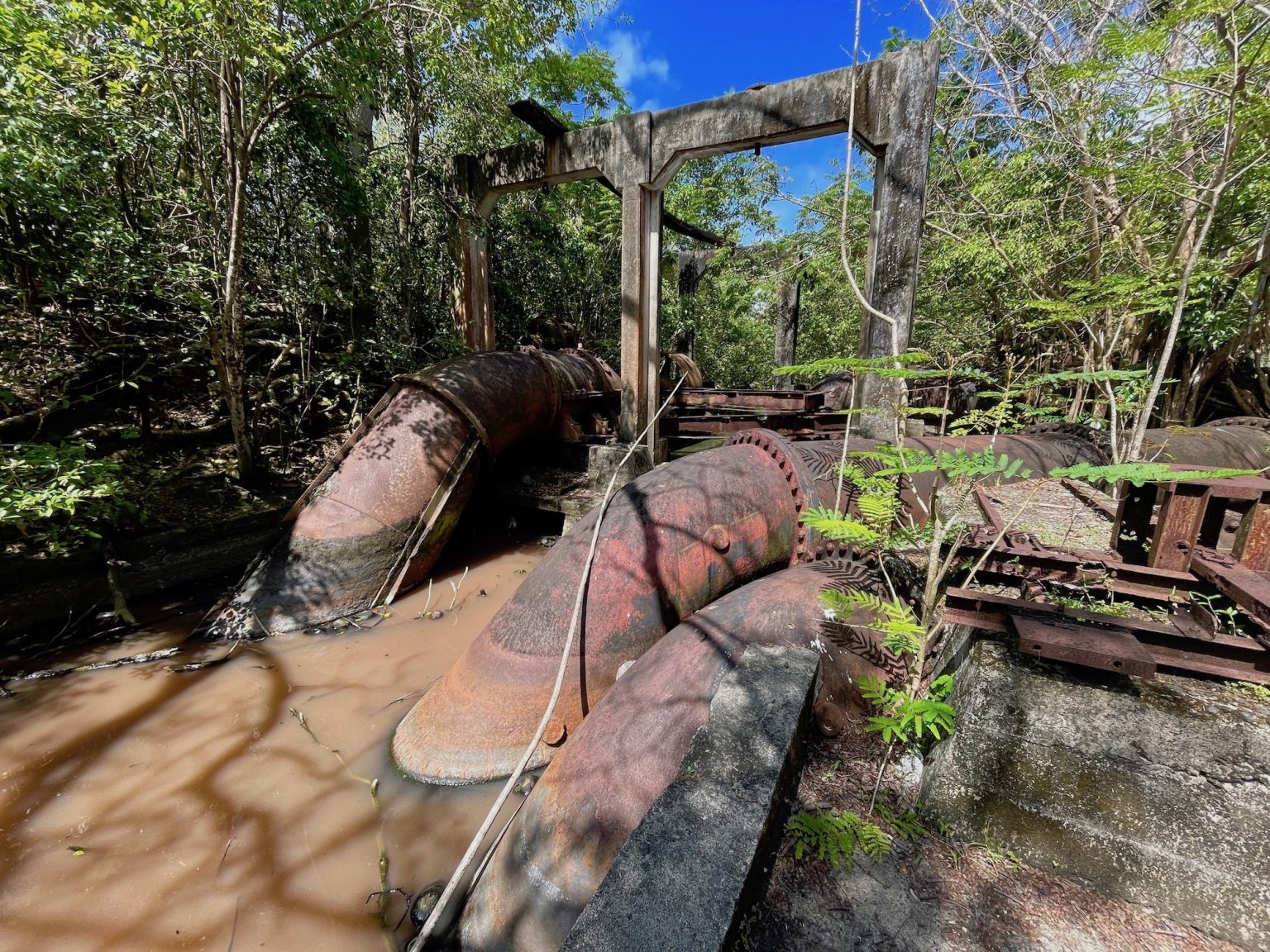 Palm Course - Wyndham Palmas Beach Resort - The Maritime Explorer