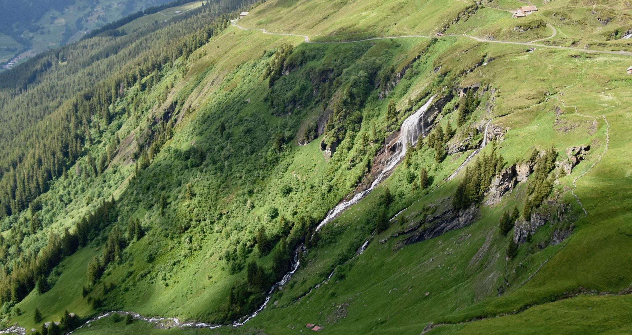 Grindelwald-First Gondola to the Cliff Walk - The Maritime Explorer