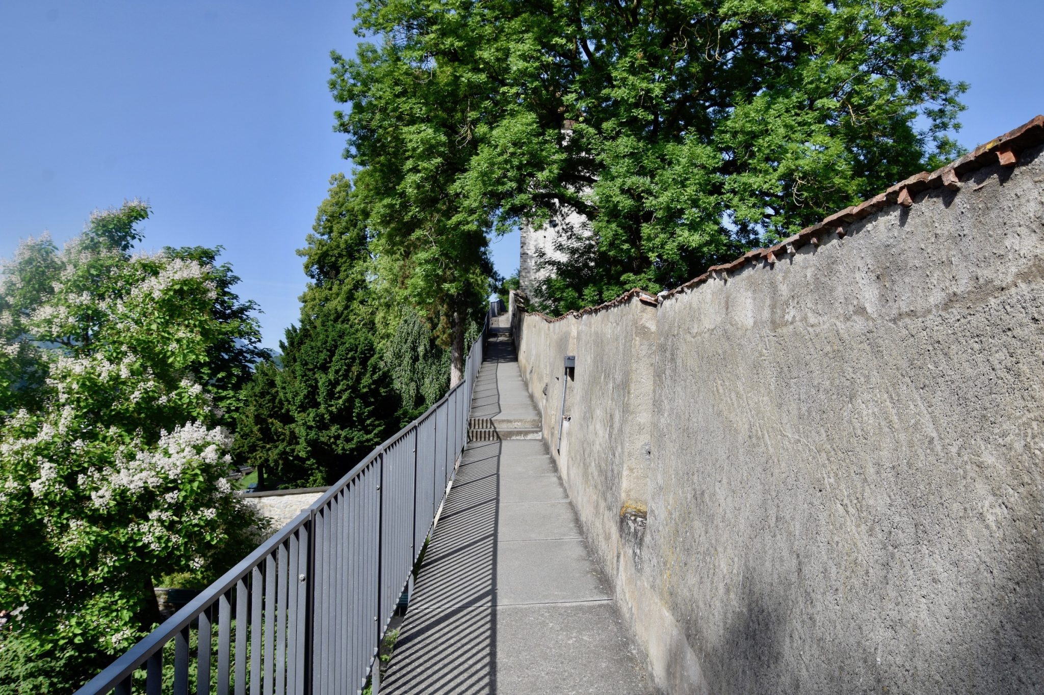 Exploring Lucerne - What You Can't Miss - The Maritime Explorer