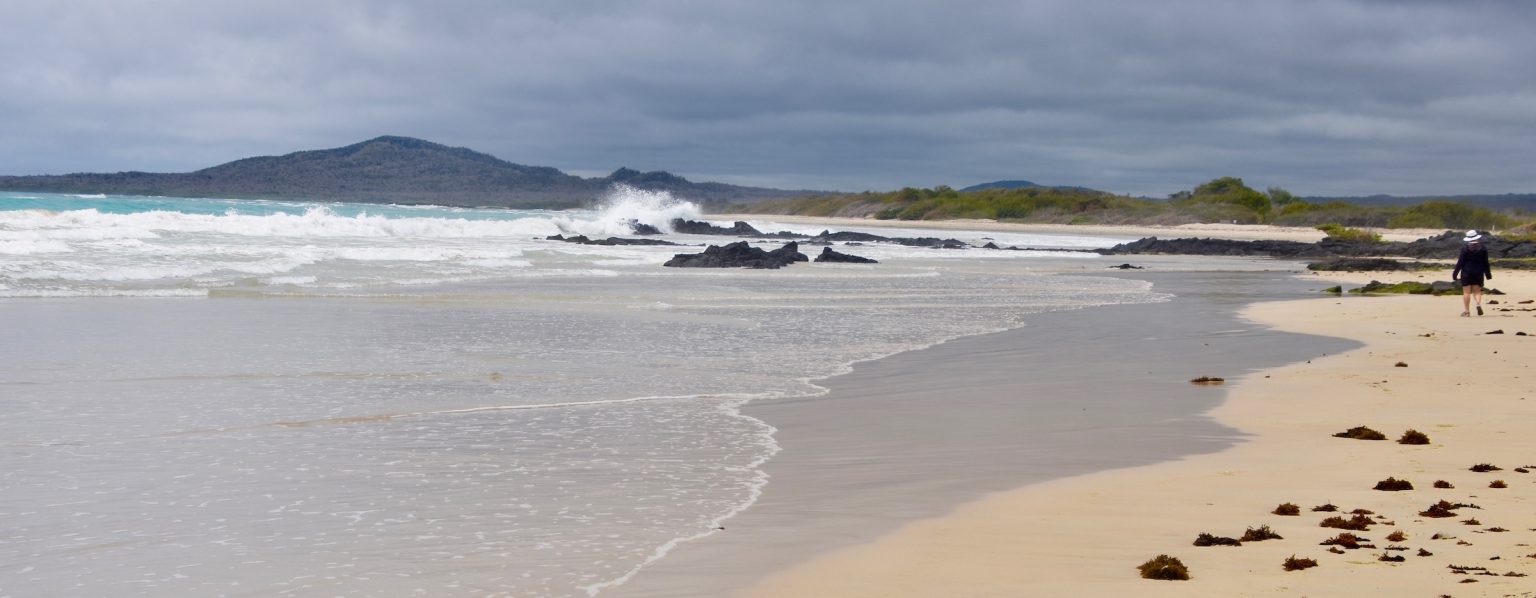 Isabela - Galapagos' Largest Island - The Maritime Explorer