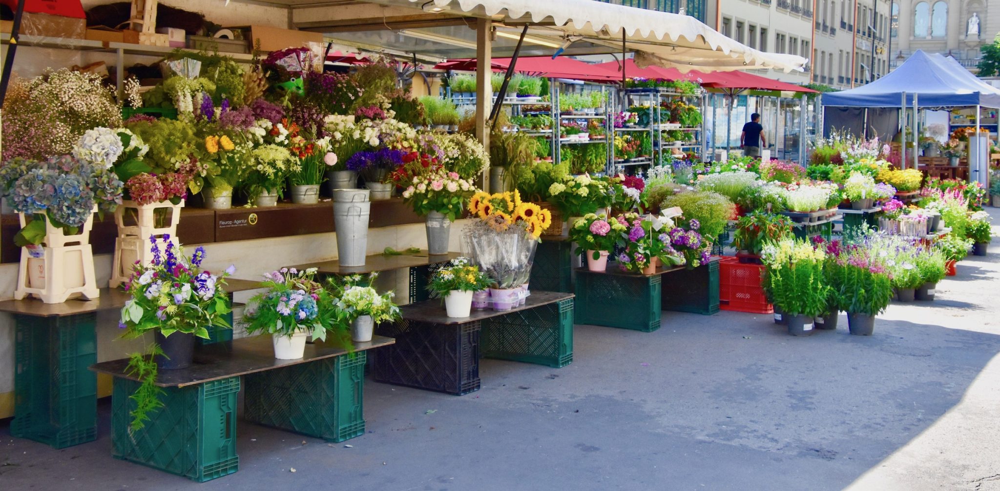 Bern - Walking Switzerland's Capital - The Maritime Explorer