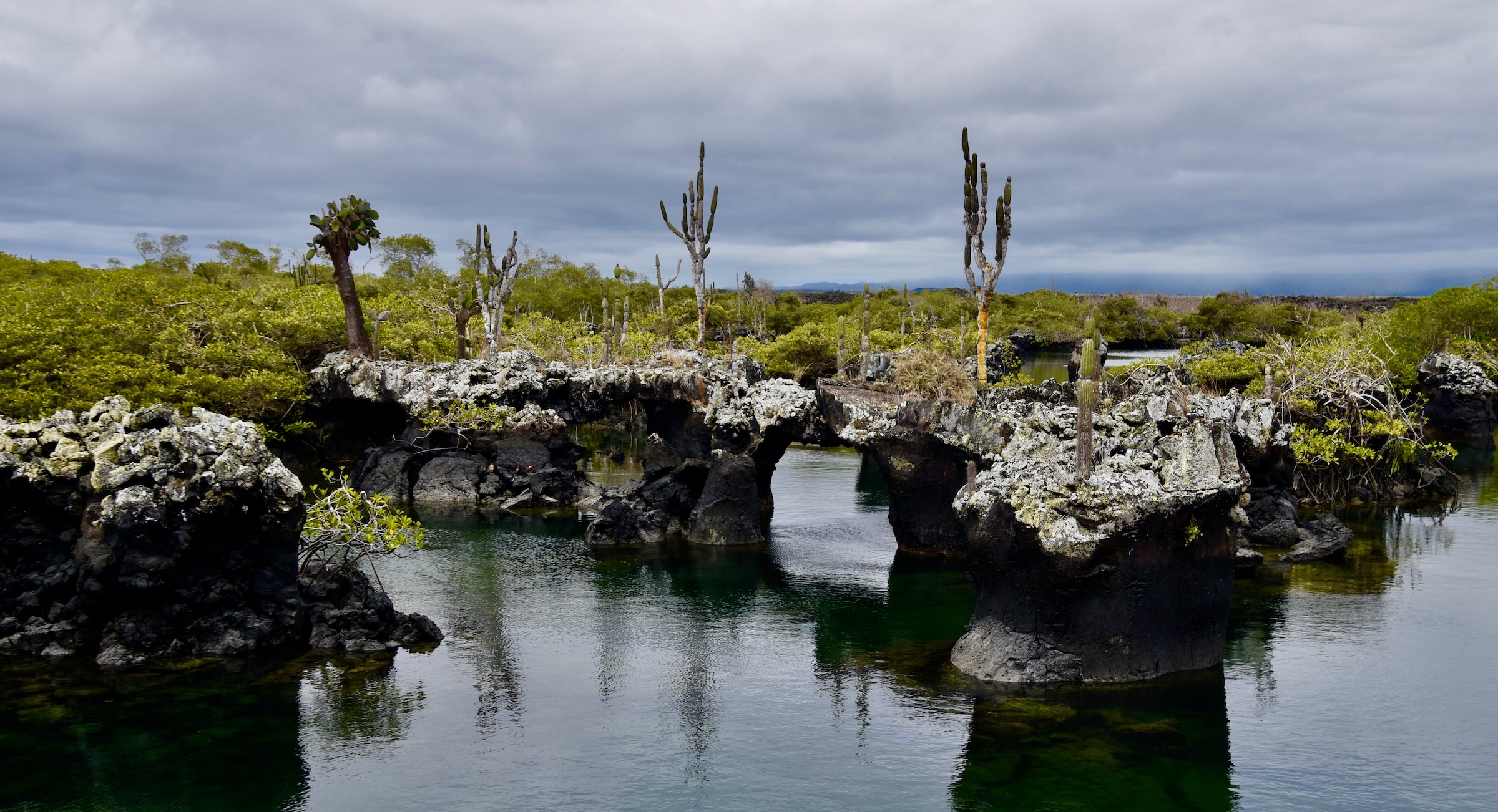 Exploring Isabela - A Natural Wonderland - The Maritime Explorer