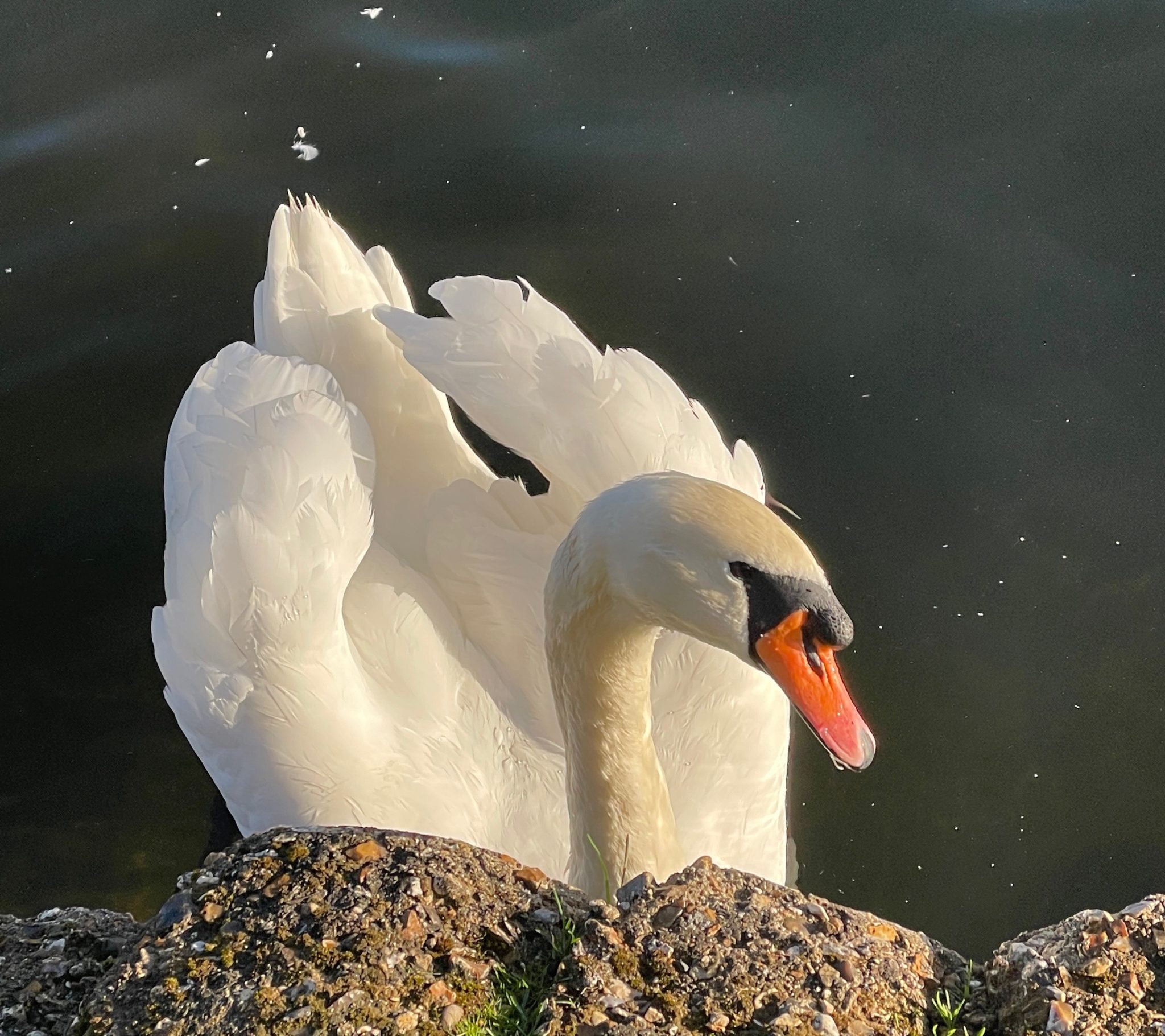 Reading - Definitely Worth a Visit - The Maritime Explorer