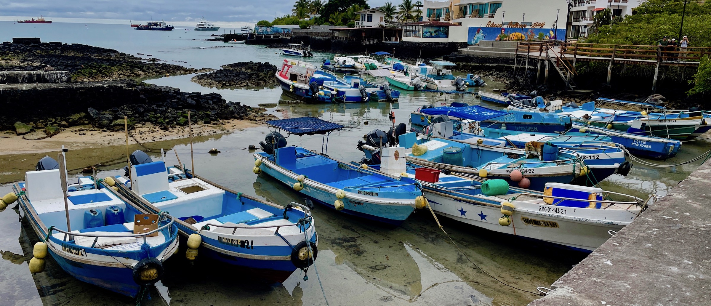 Santa Cruz - Gateway to the Galapagos - The Maritime Explorer