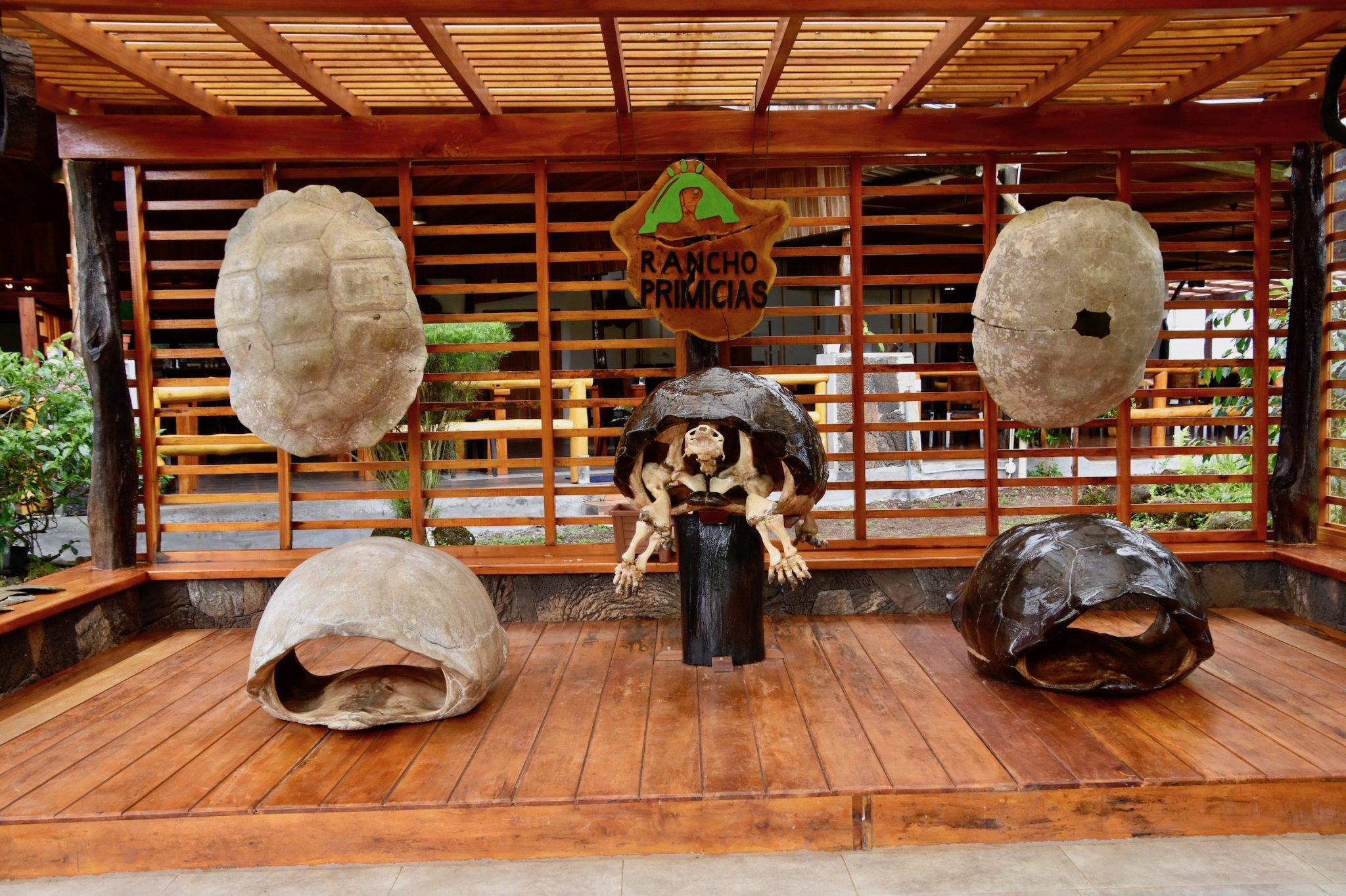 Santa Cruz - Gateway to the Galapagos - The Maritime Explorer