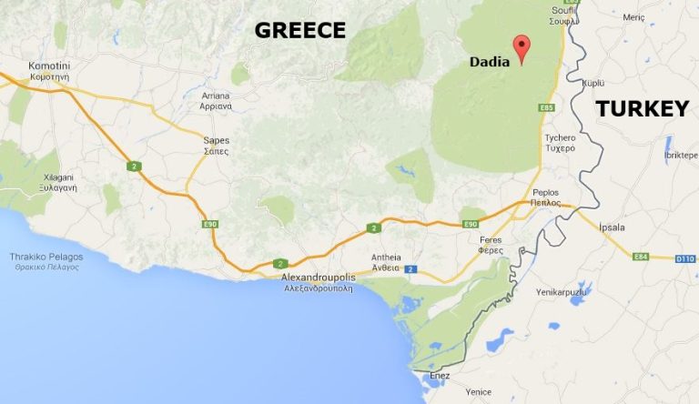 Dadia National Park - The Maritime Explorer