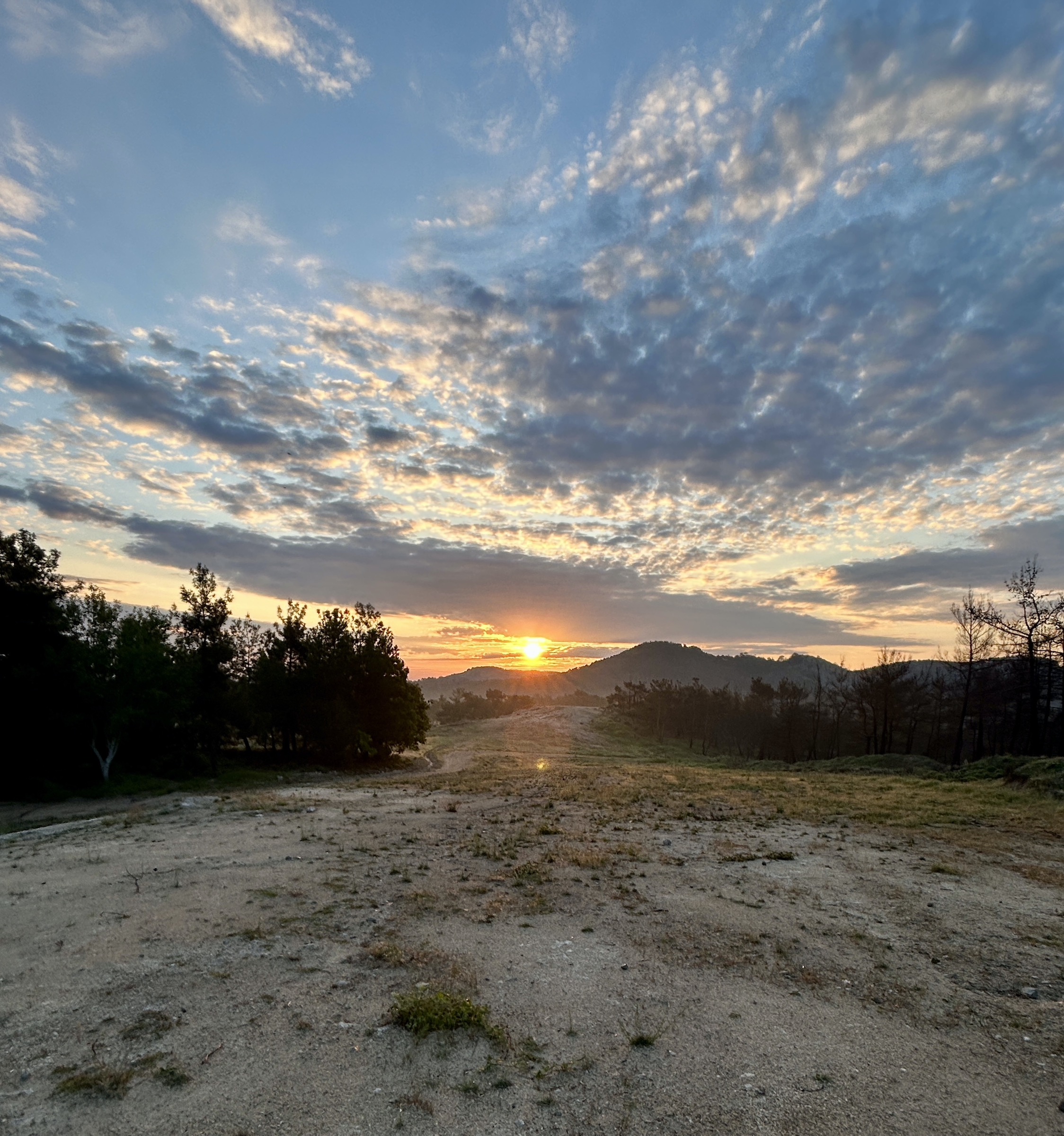 Dadia National Park - The Maritime Explorer