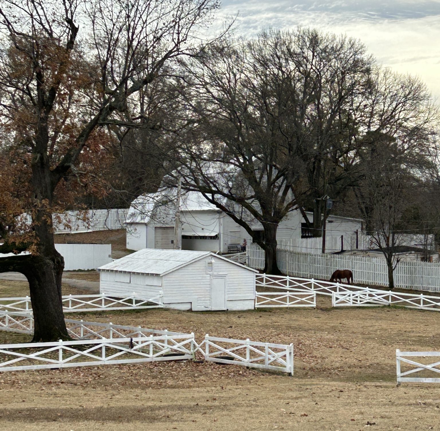 Graceland - Touring Elvis' Memphis Home - The Maritime Explorer