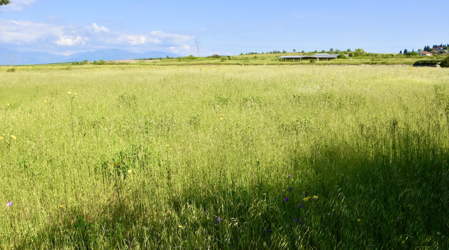 Pella - Birthplace of Alexander the Great - The Maritime Explorer