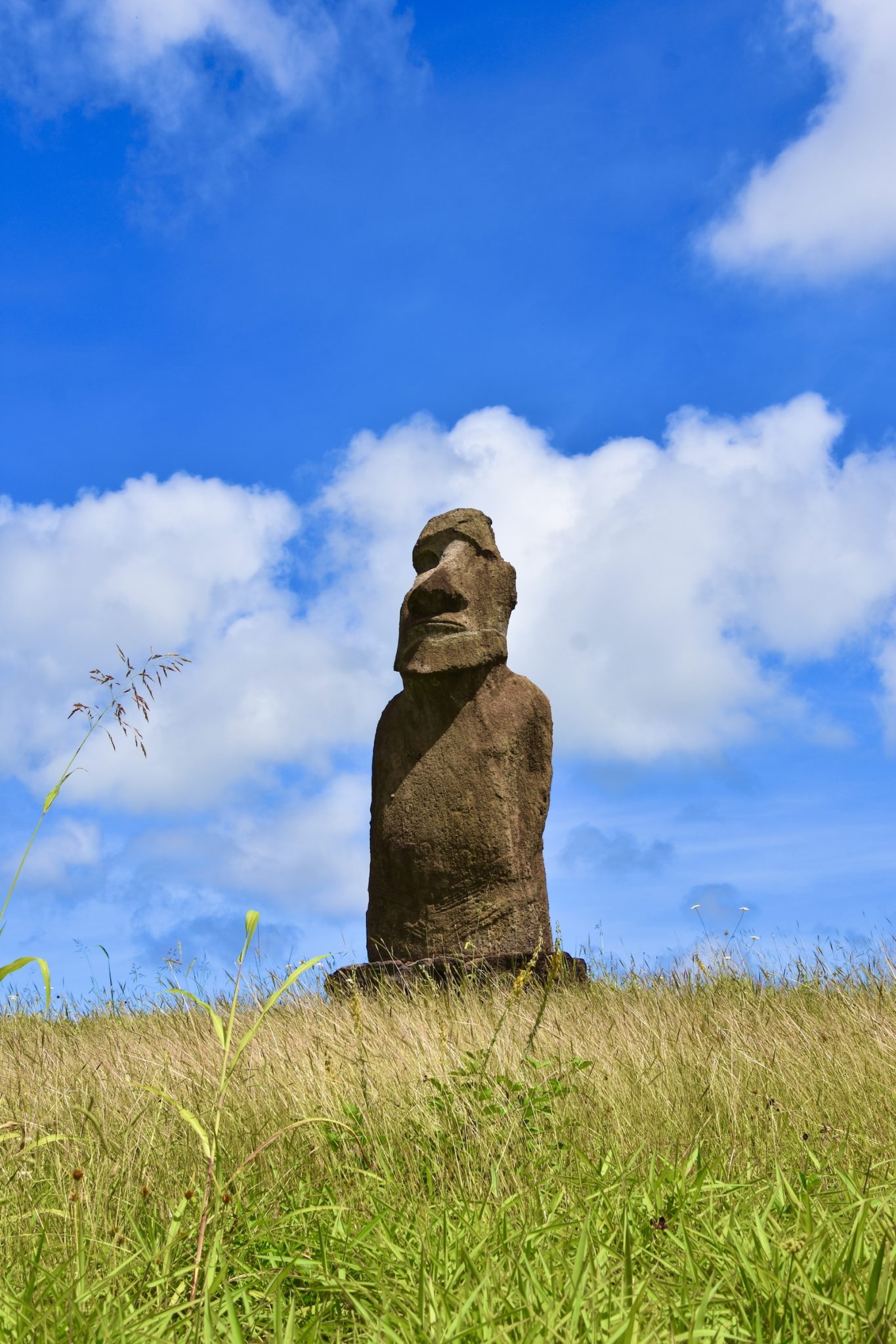 Moais of Rapa Nui - The Maritime Explorer