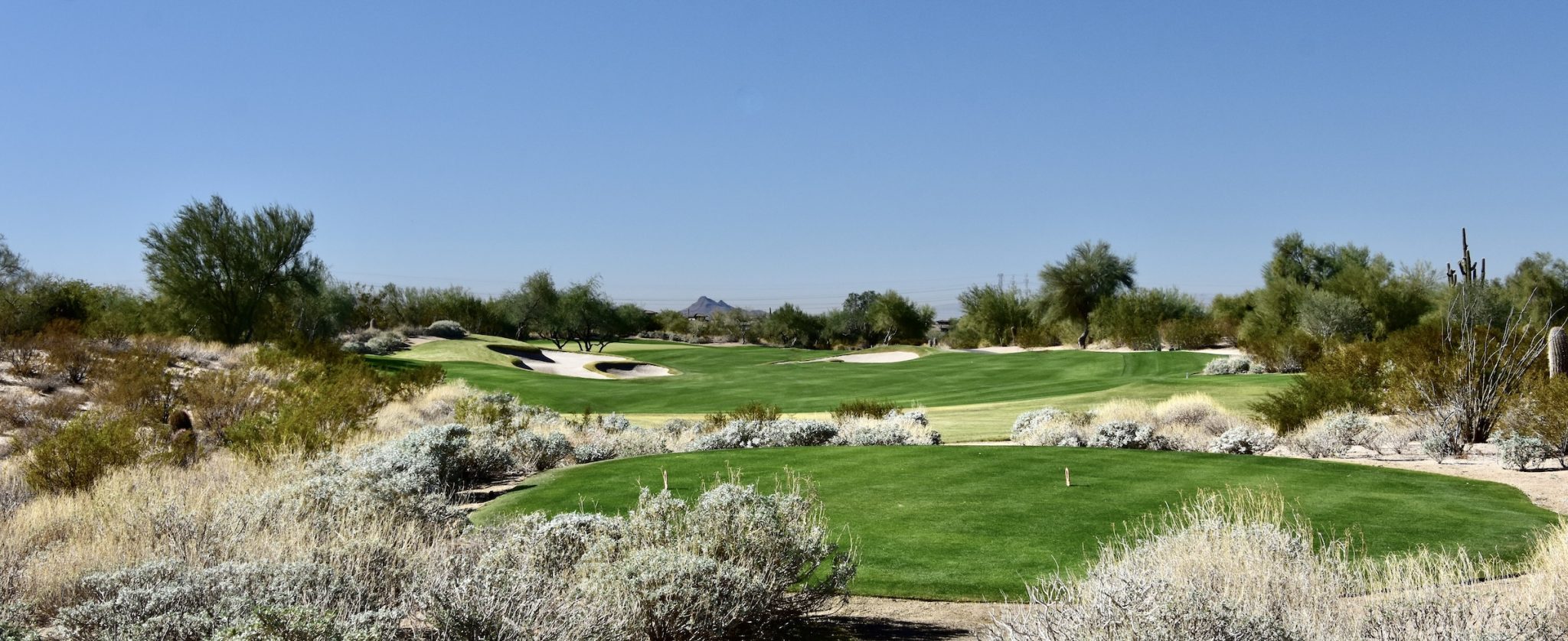 Gray Hawk Raptor - Hole by Hole - The Maritime Explorer