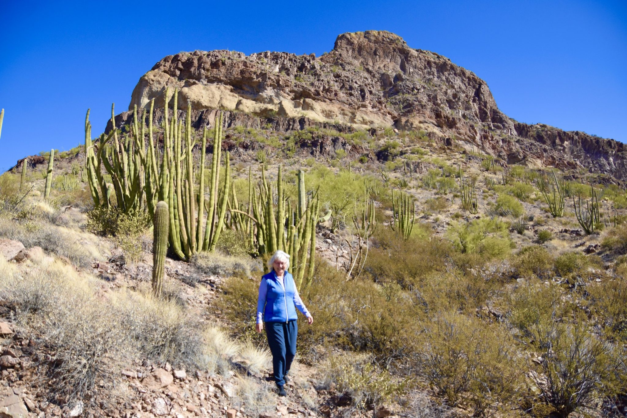 Organ Pipe Cactus National Monument - The Maritime Explorer