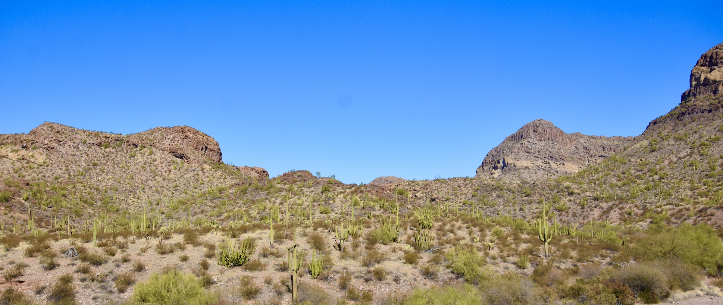Organ Pipe Cactus National Monument - The Maritime Explorer