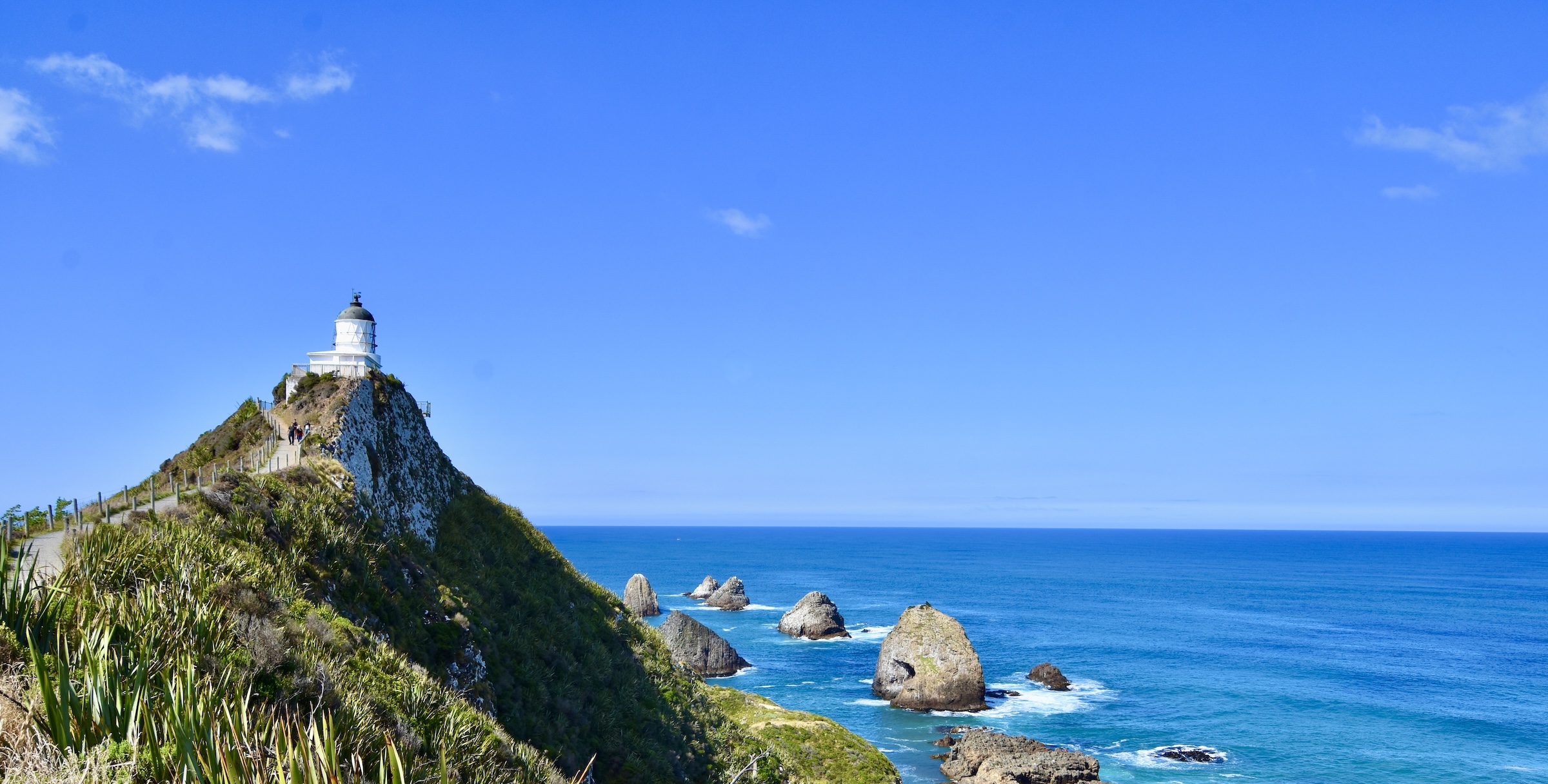 Dunedin And Nugget Point - The Maritime Explorer